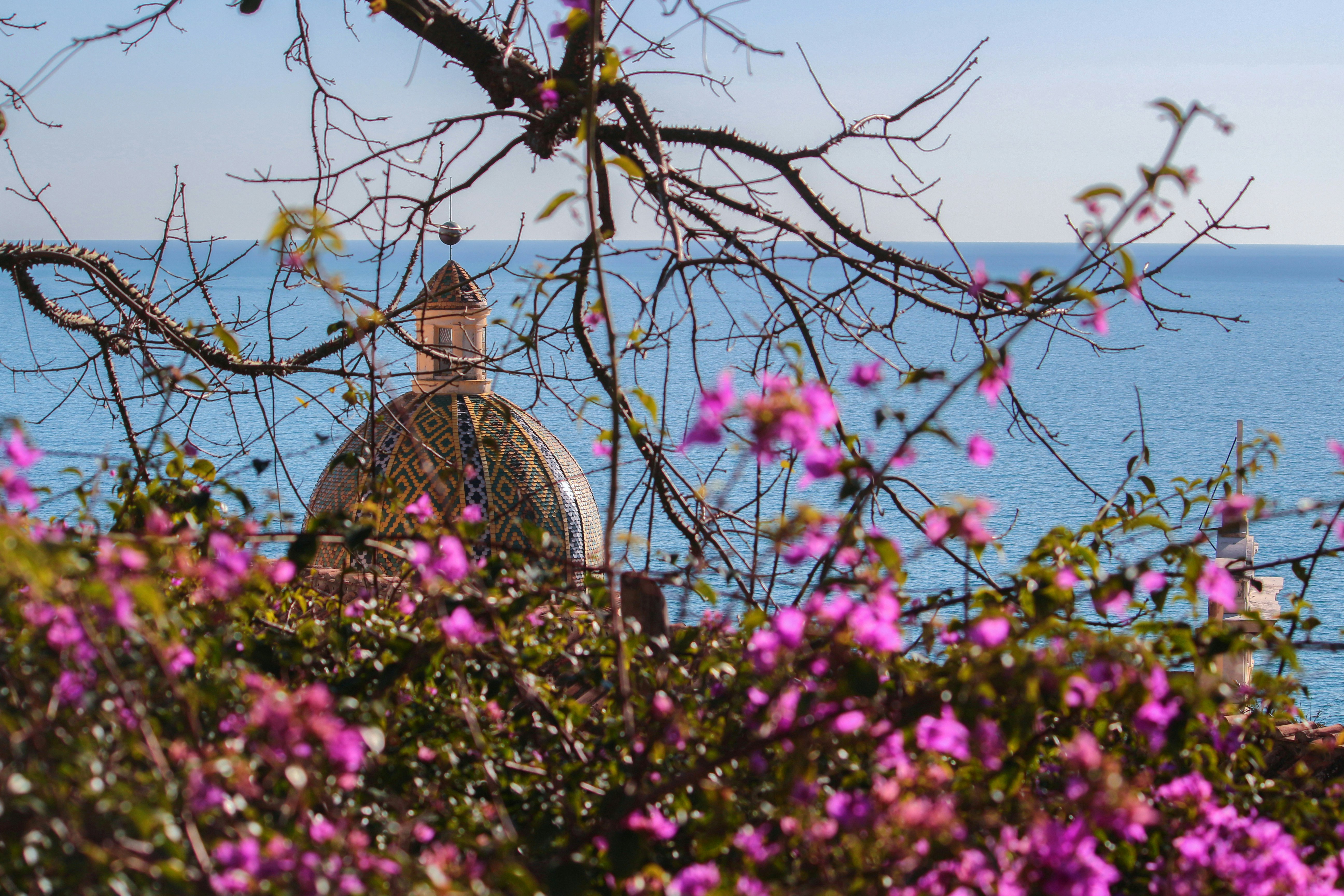 A view of the ocean from behind a tree photo – Free Positano Image on ...