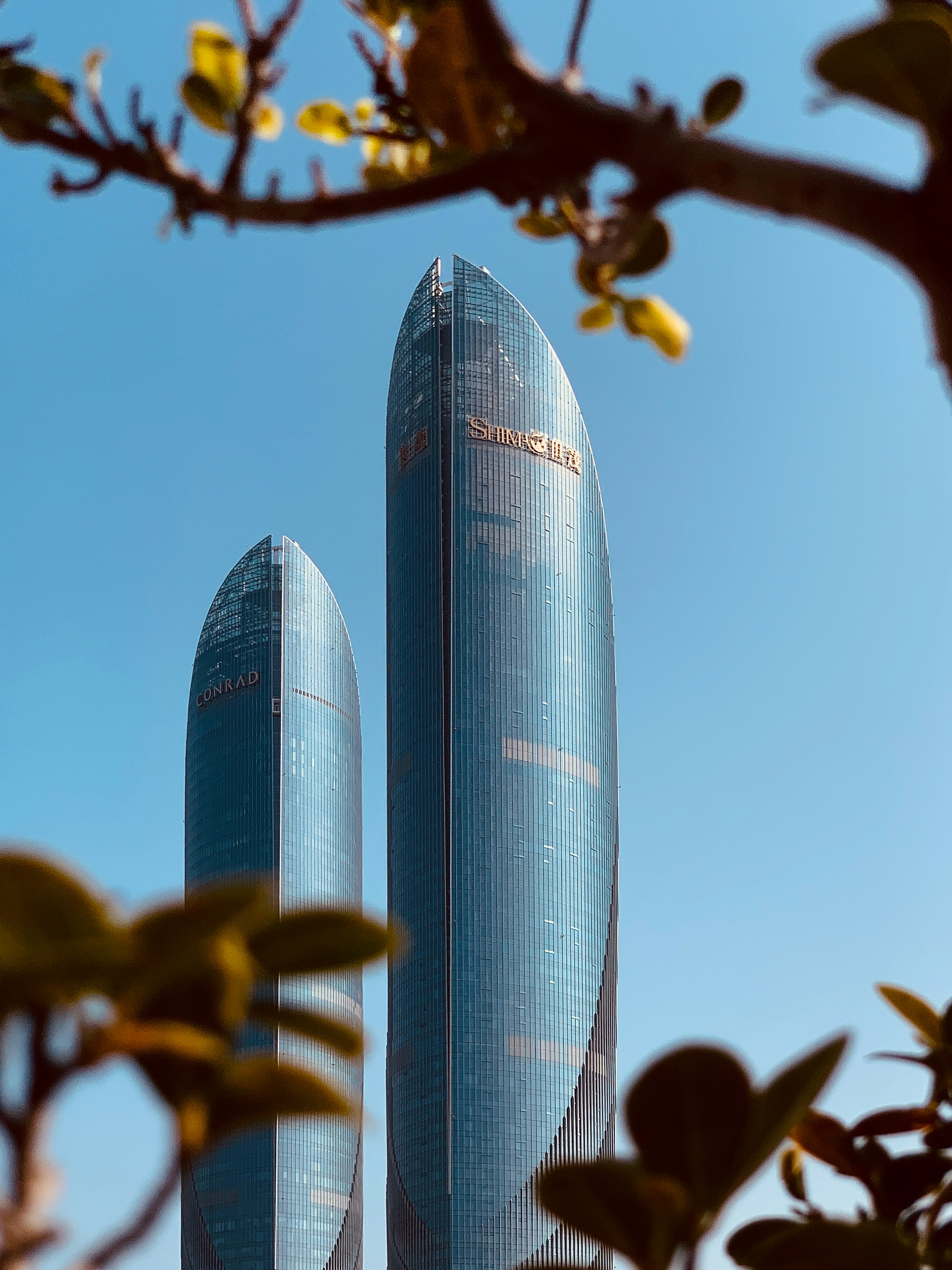 Two tall skyscrapers in the middle of a tree photo – Free Xiamen Image ...