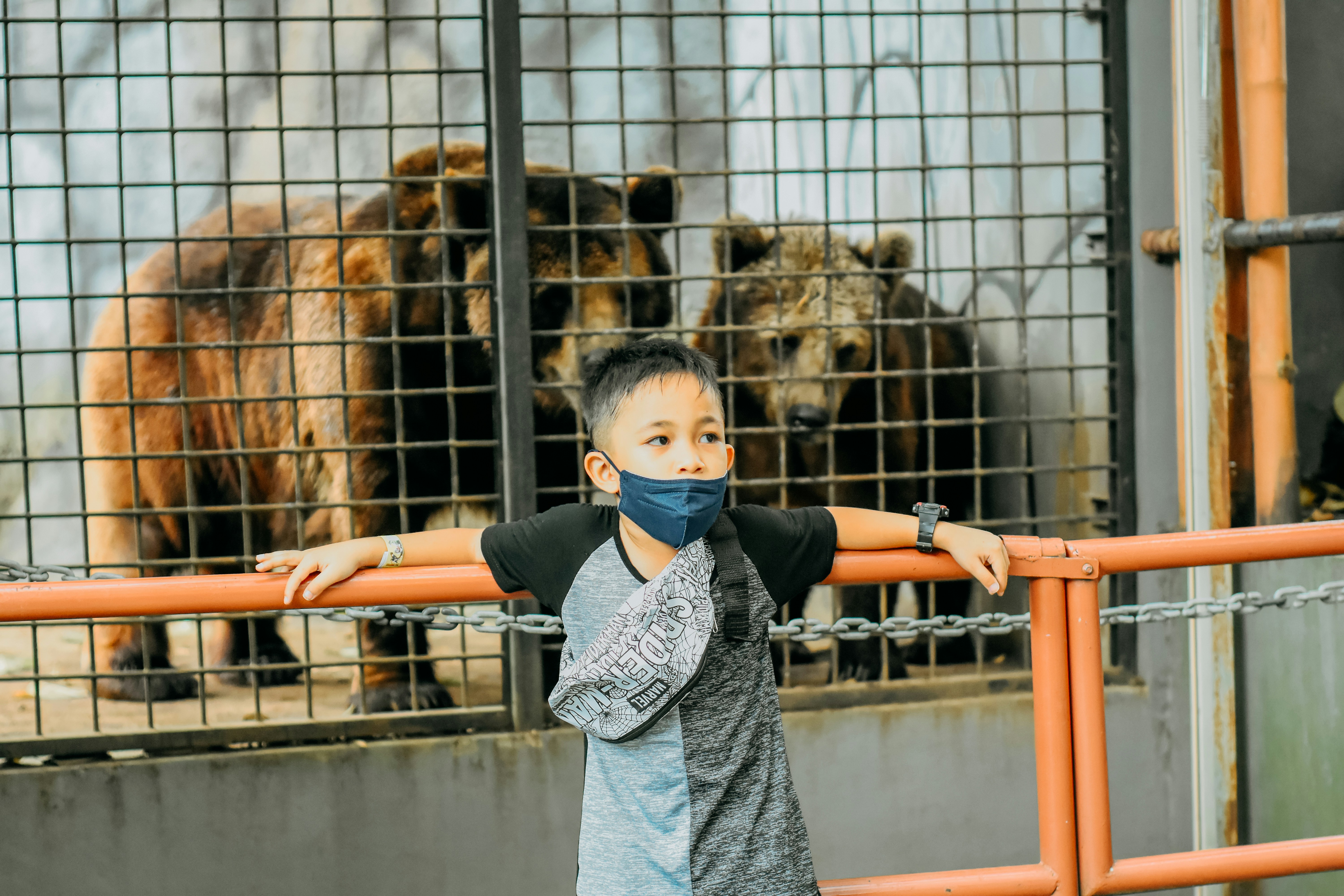 Caught Between Cages: A Boy in Mask Reaches Toward the Lions