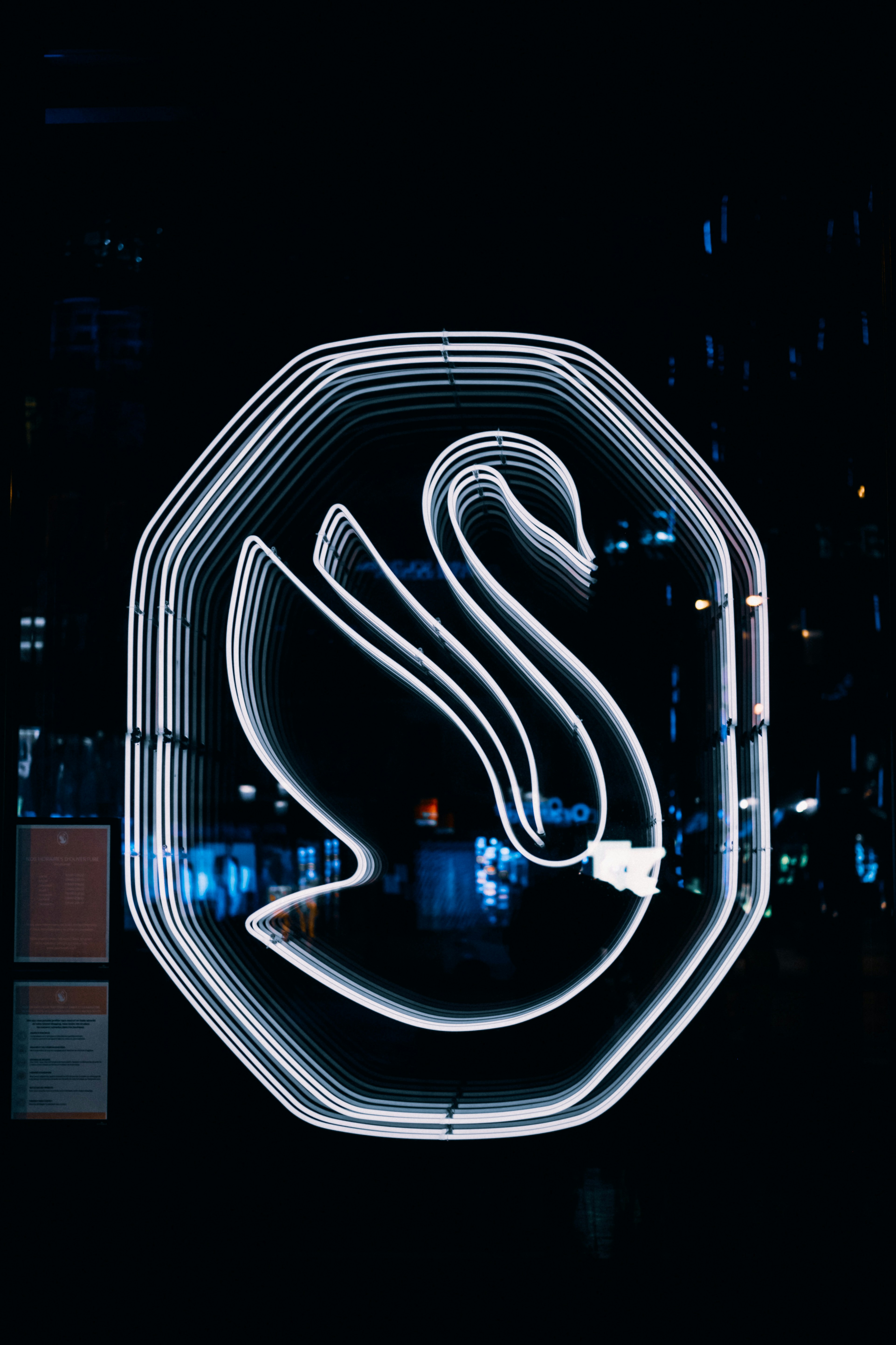 Midnight Neon Sigil: A Looping Emblem in an Octagonal Frame