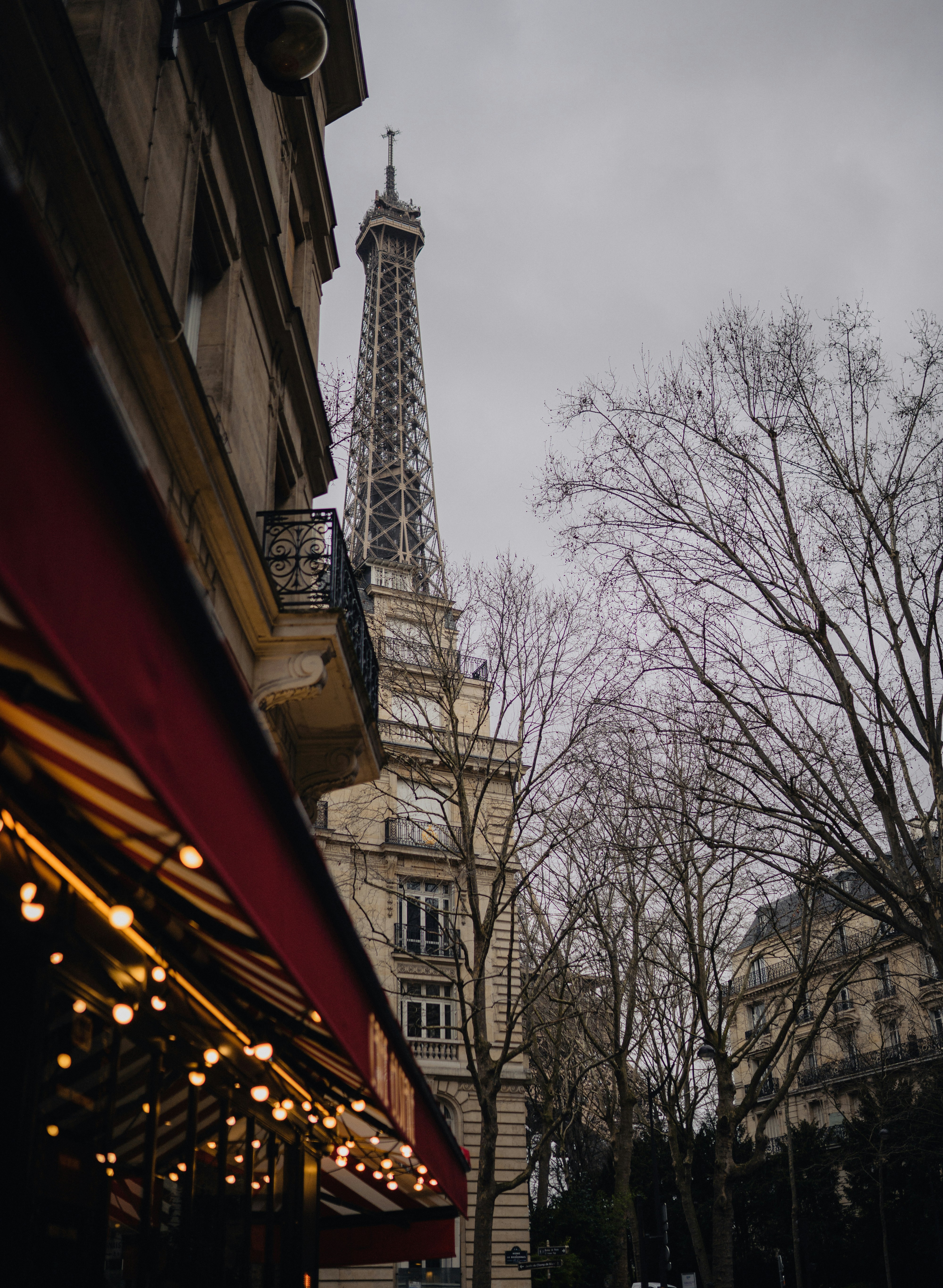 Eiffel Tower Framed by a Parisian Canopy