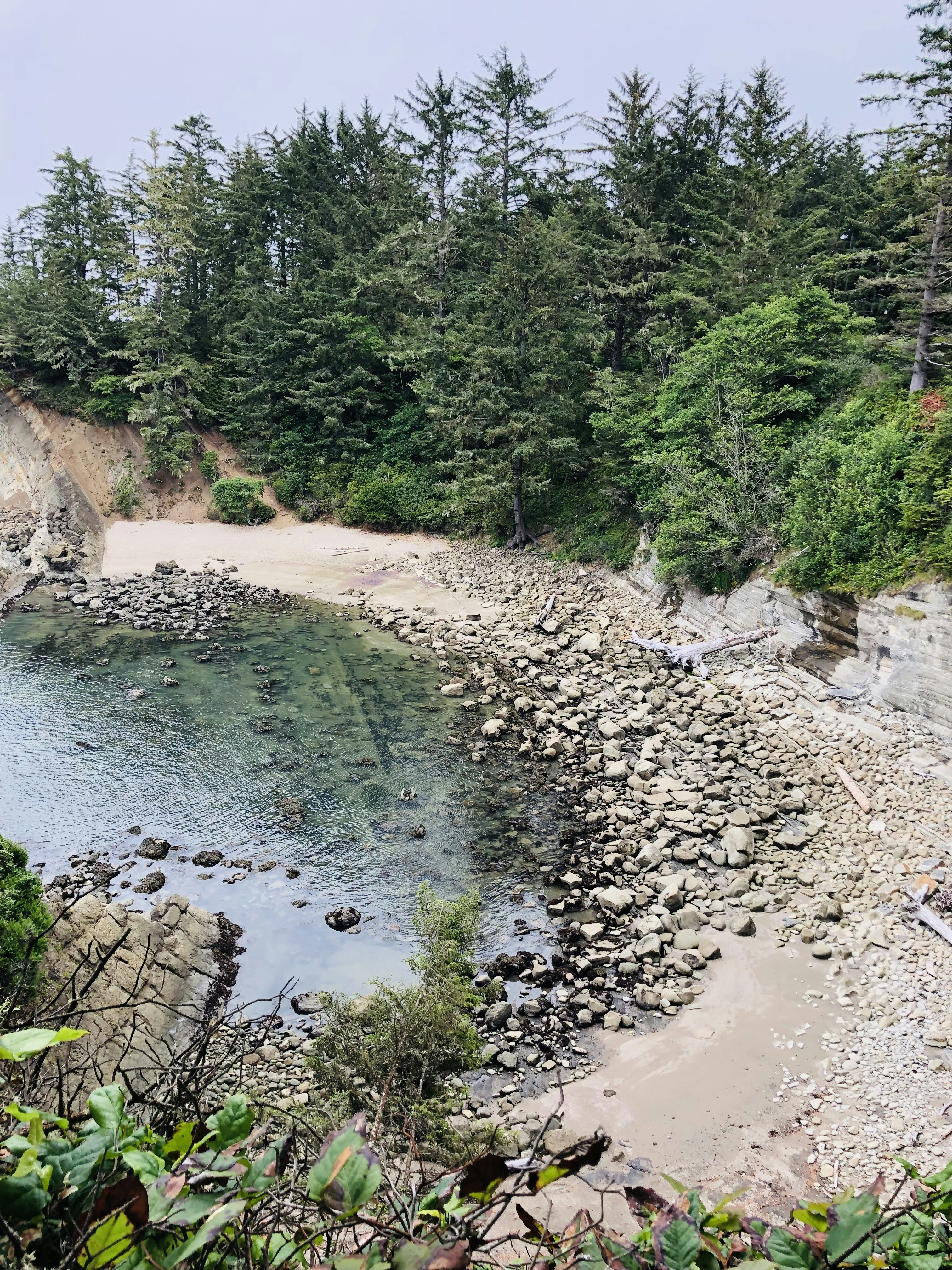 Pebble-strewn Cove Framed by Carved Cliffs and Pines
