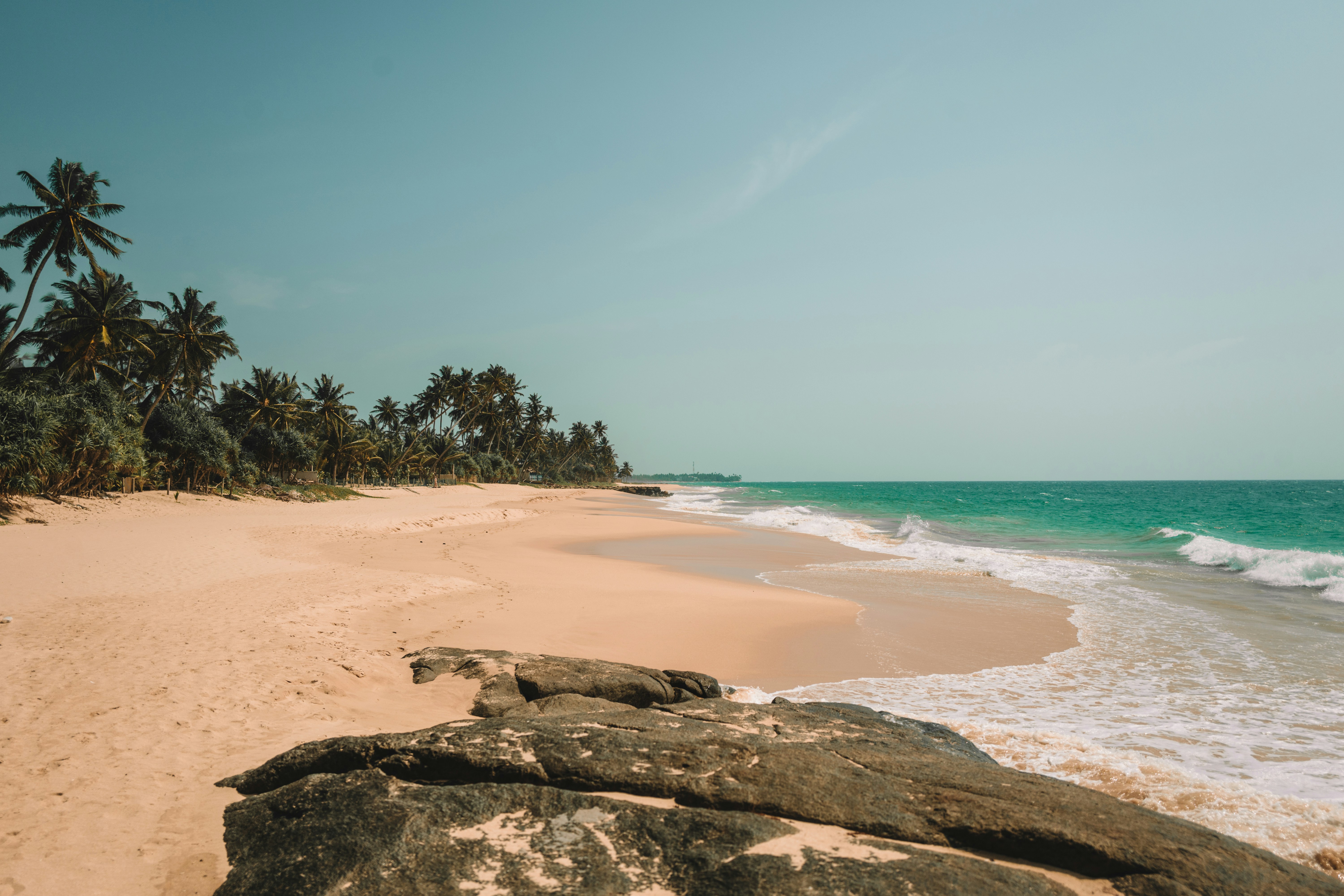 Sandy beach with palm trees and gentle waves under a clear blue sky.