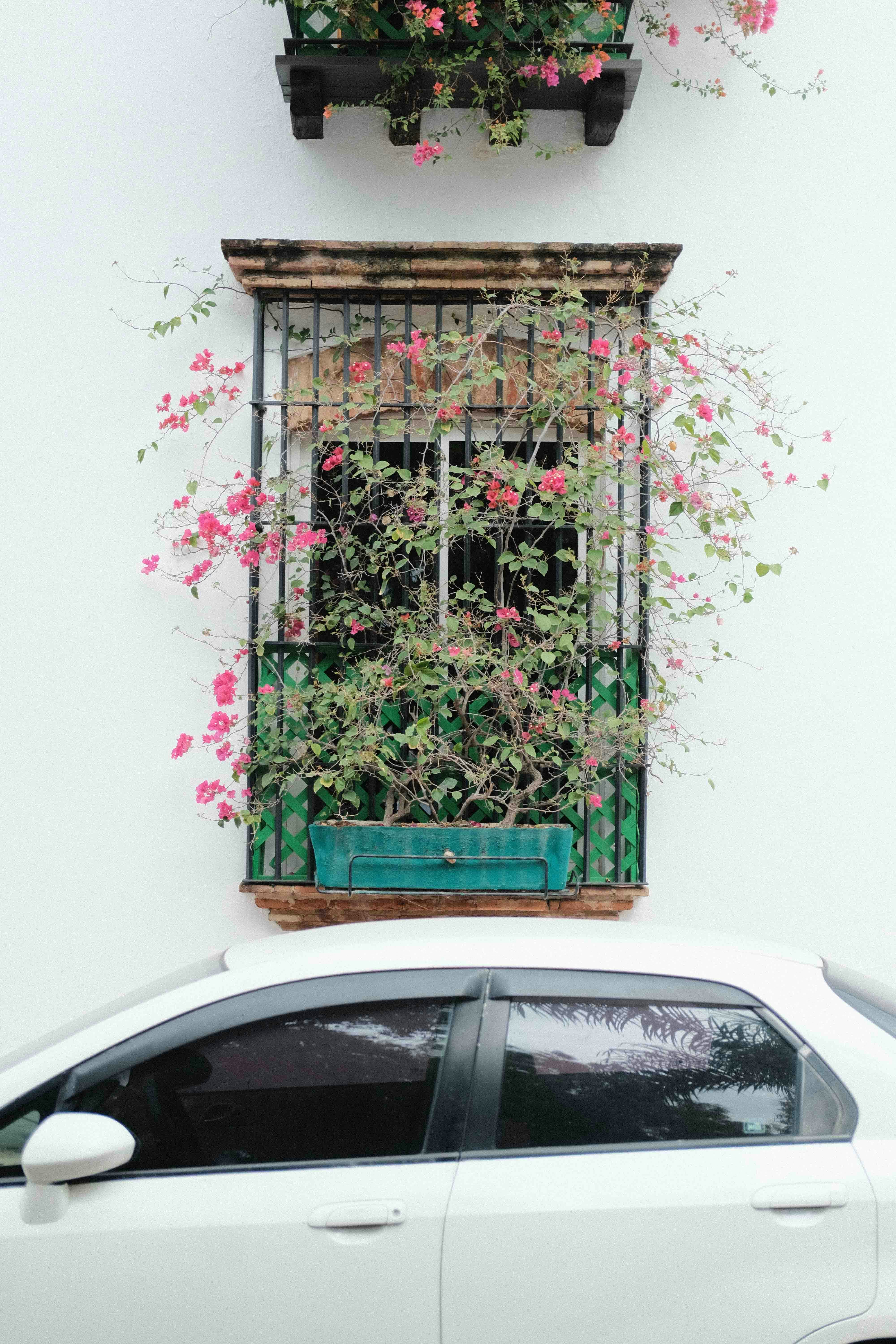 Colorful bougainvillea cascading over a wrought iron window frame against a white wall, complemented by a teal planter. A sleek white car is parked below.