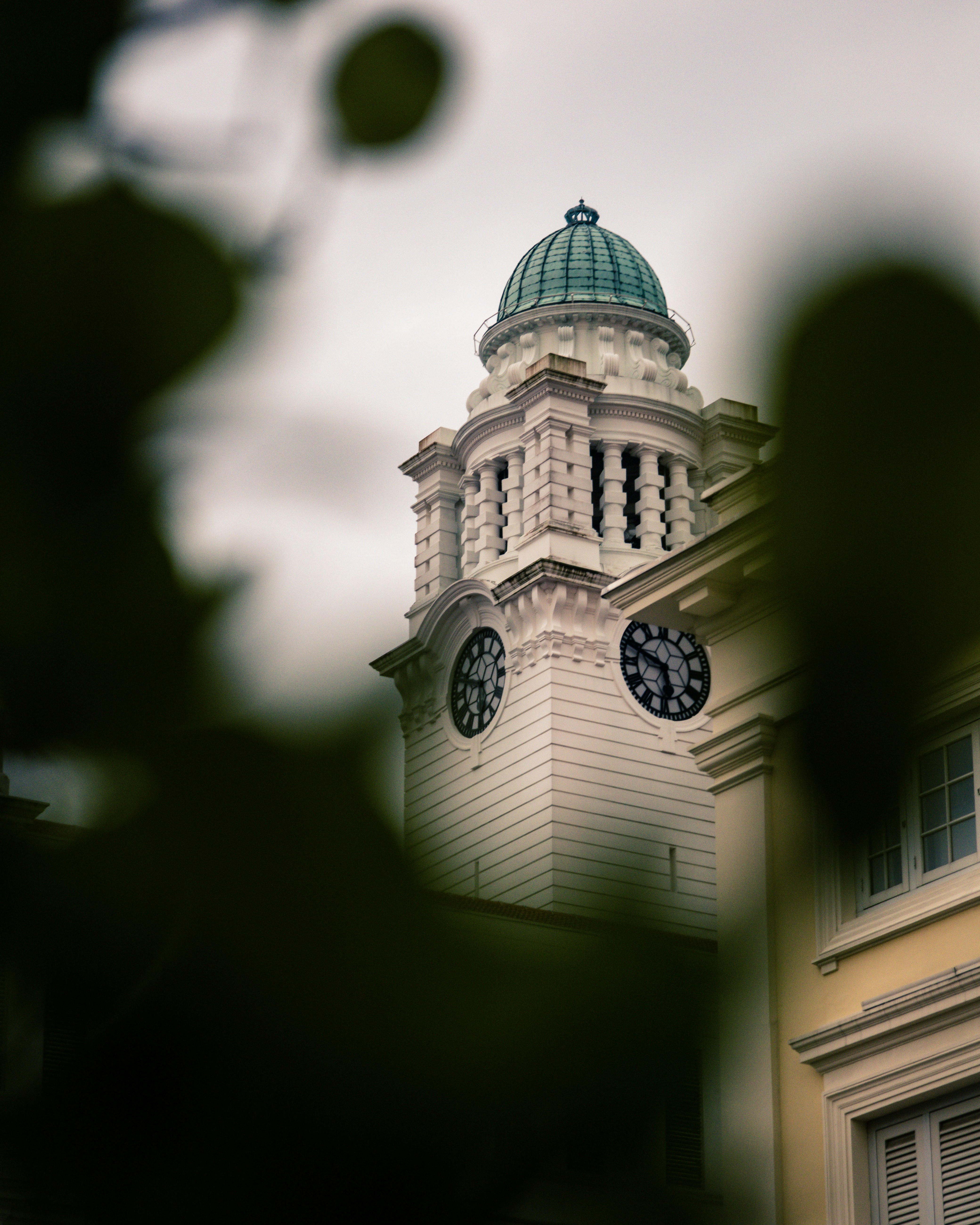 Emerging Clocktower Dome Framed by Soft Foliage