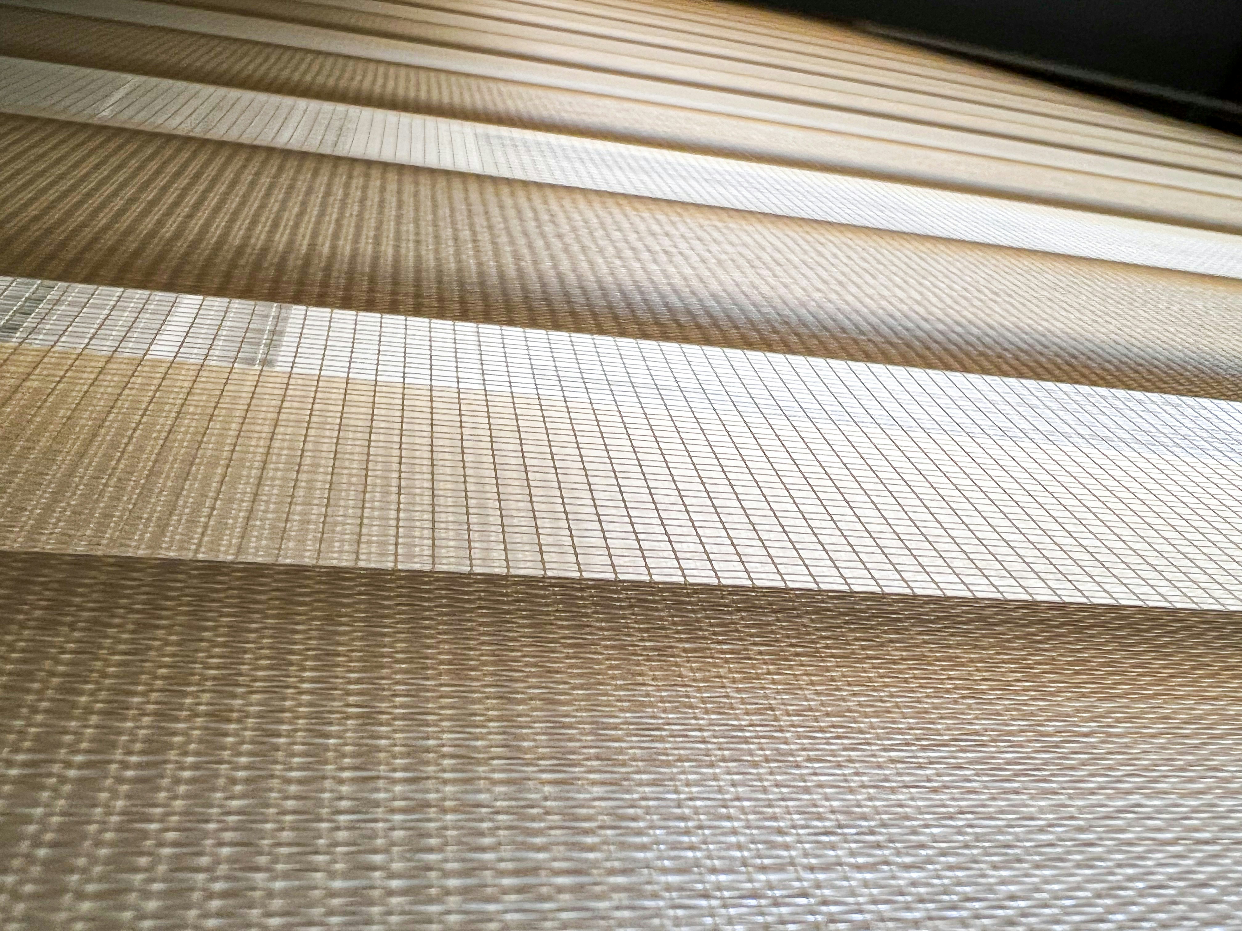 Sunlit Strata: Close-Up of Layered Window Blinds