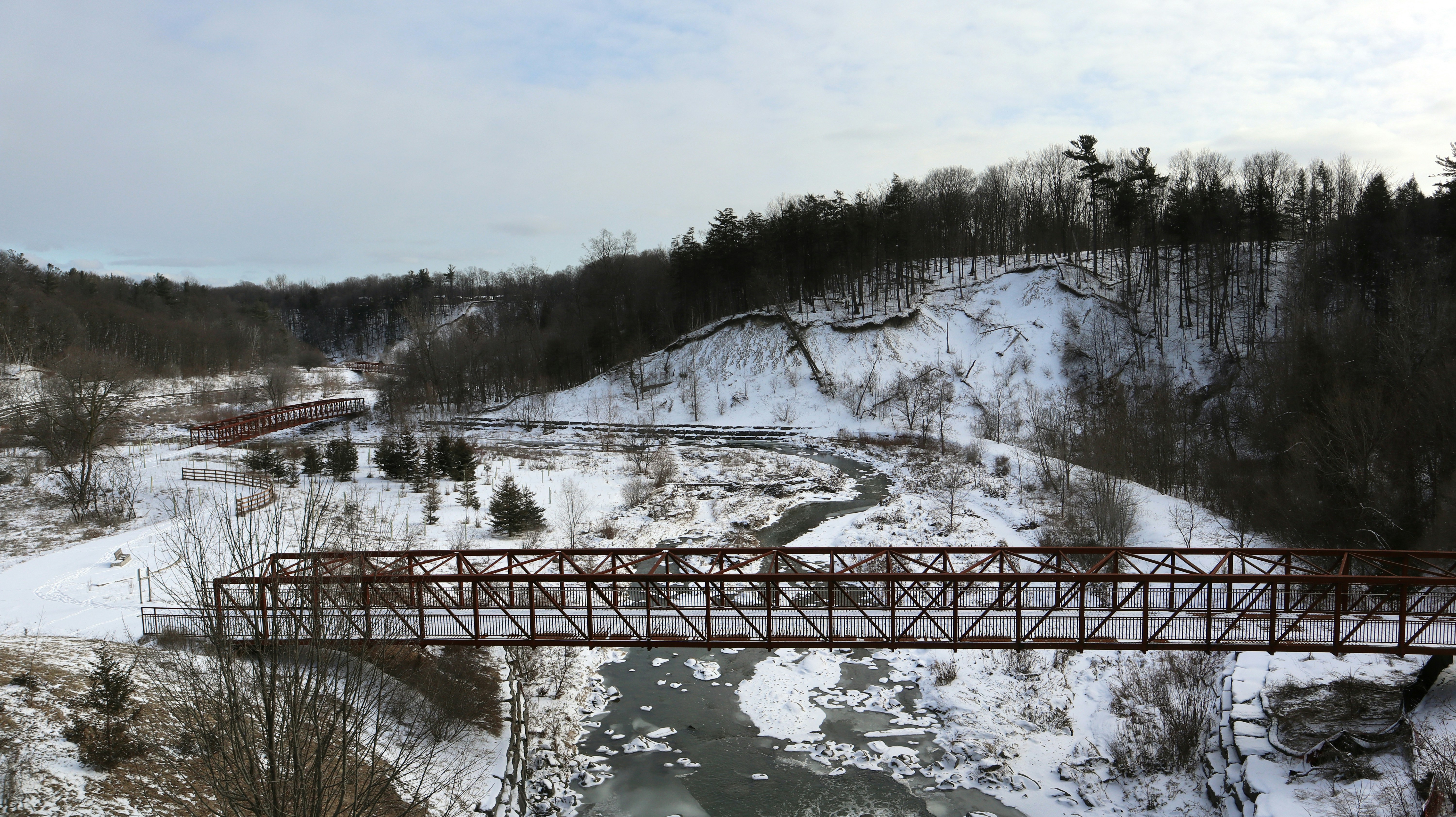 A bridge over a river surrounded by trees photo – Free Botany hill park ...