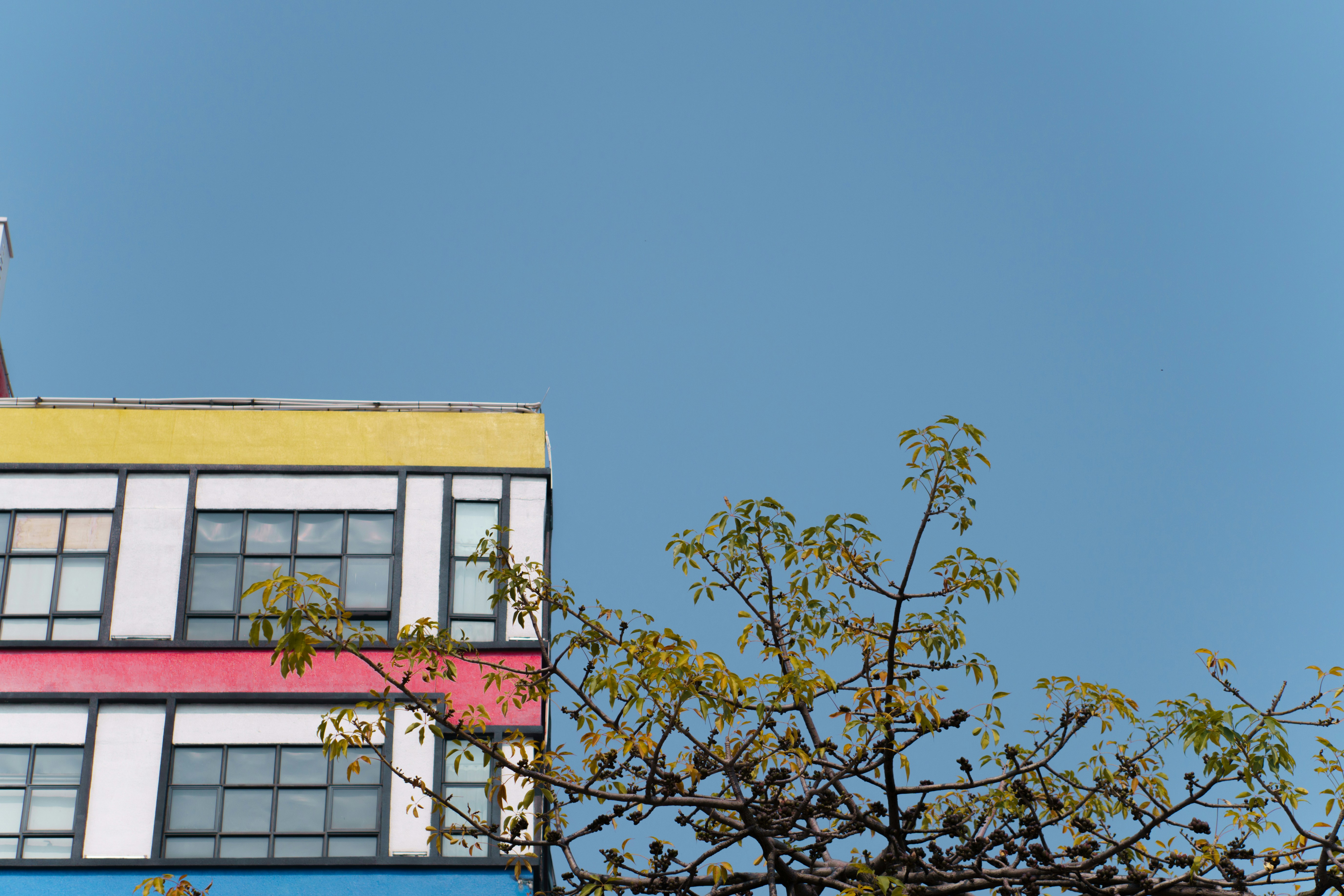 Colorful building facade with geometric patterns and a tree branch in the foreground against a clear blue sky.