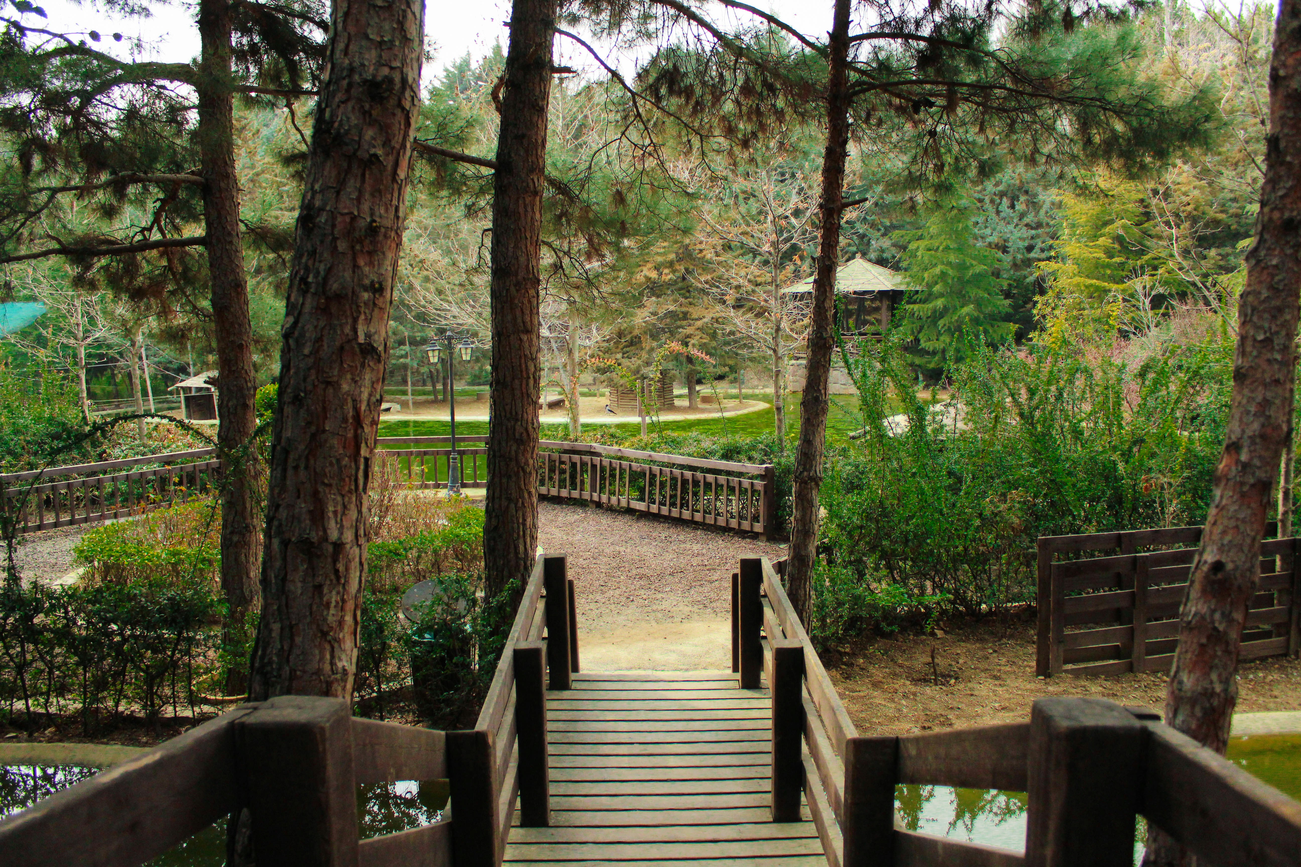 Wooden walkway leading through a tranquil garden surrounded by trees and greenery. A peaceful retreat invites exploration.