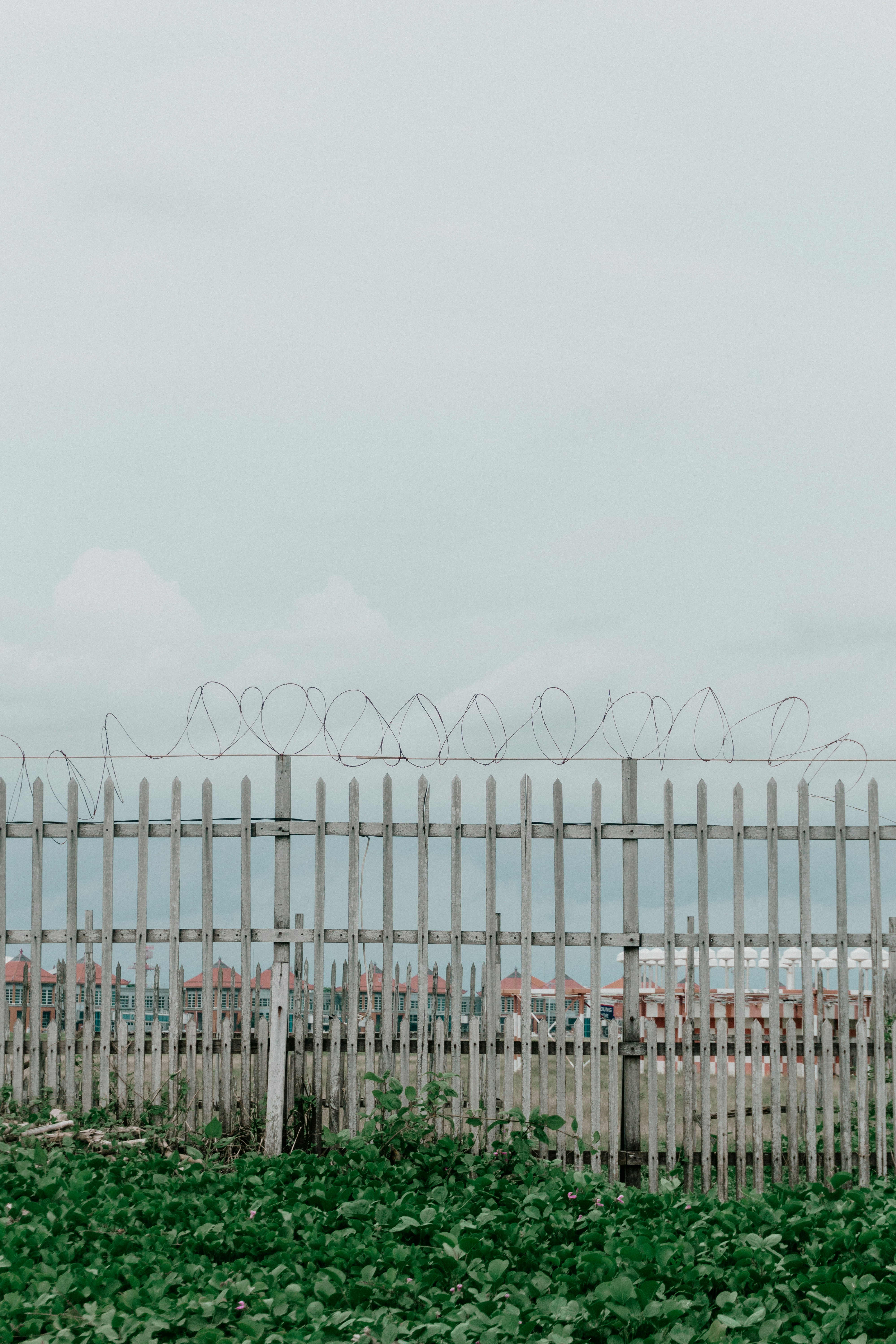 A fence with a bunch of barbed wire on top of it photo – Free Grey ...