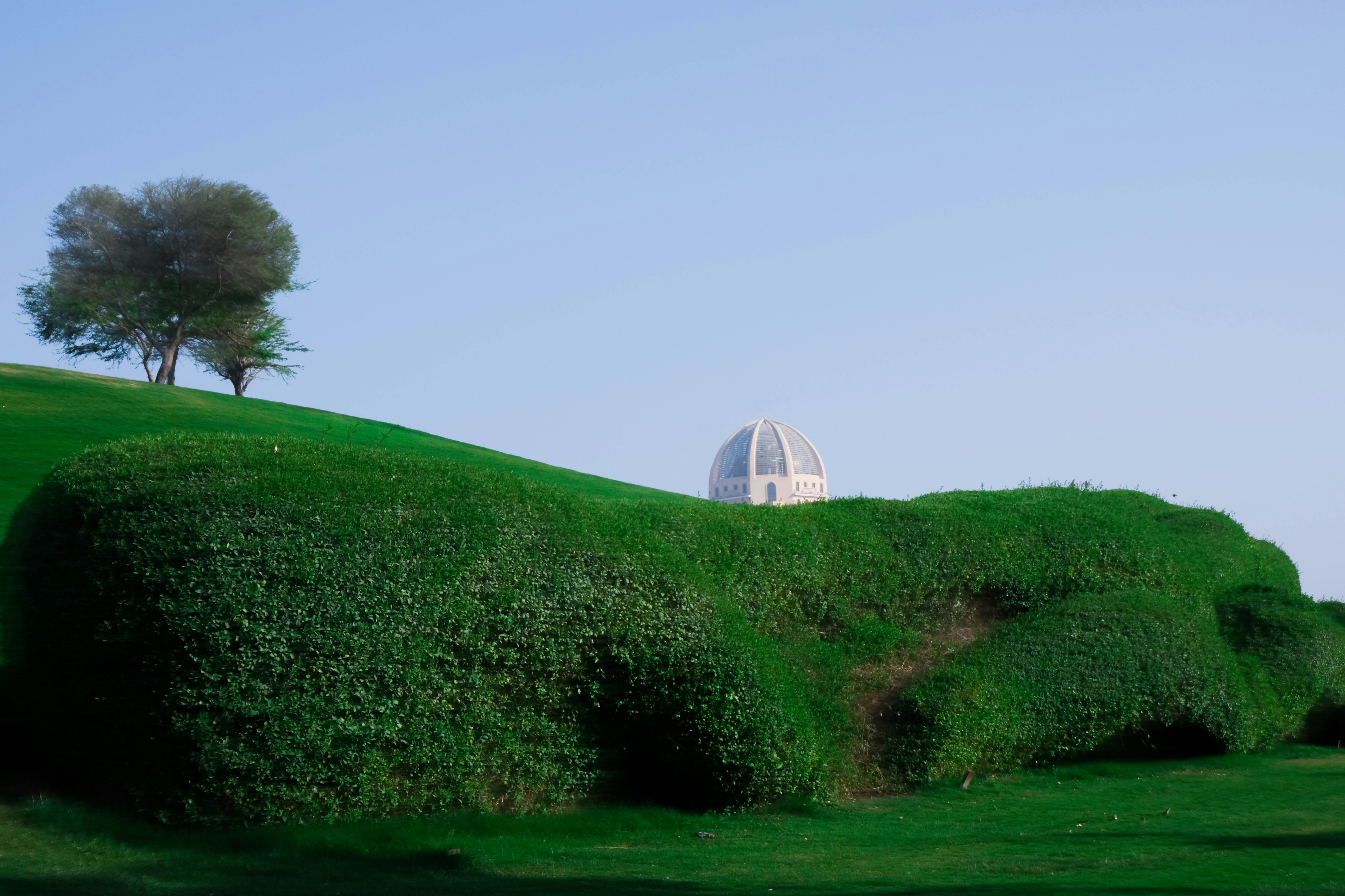 a grassy hill with a dome on top of it