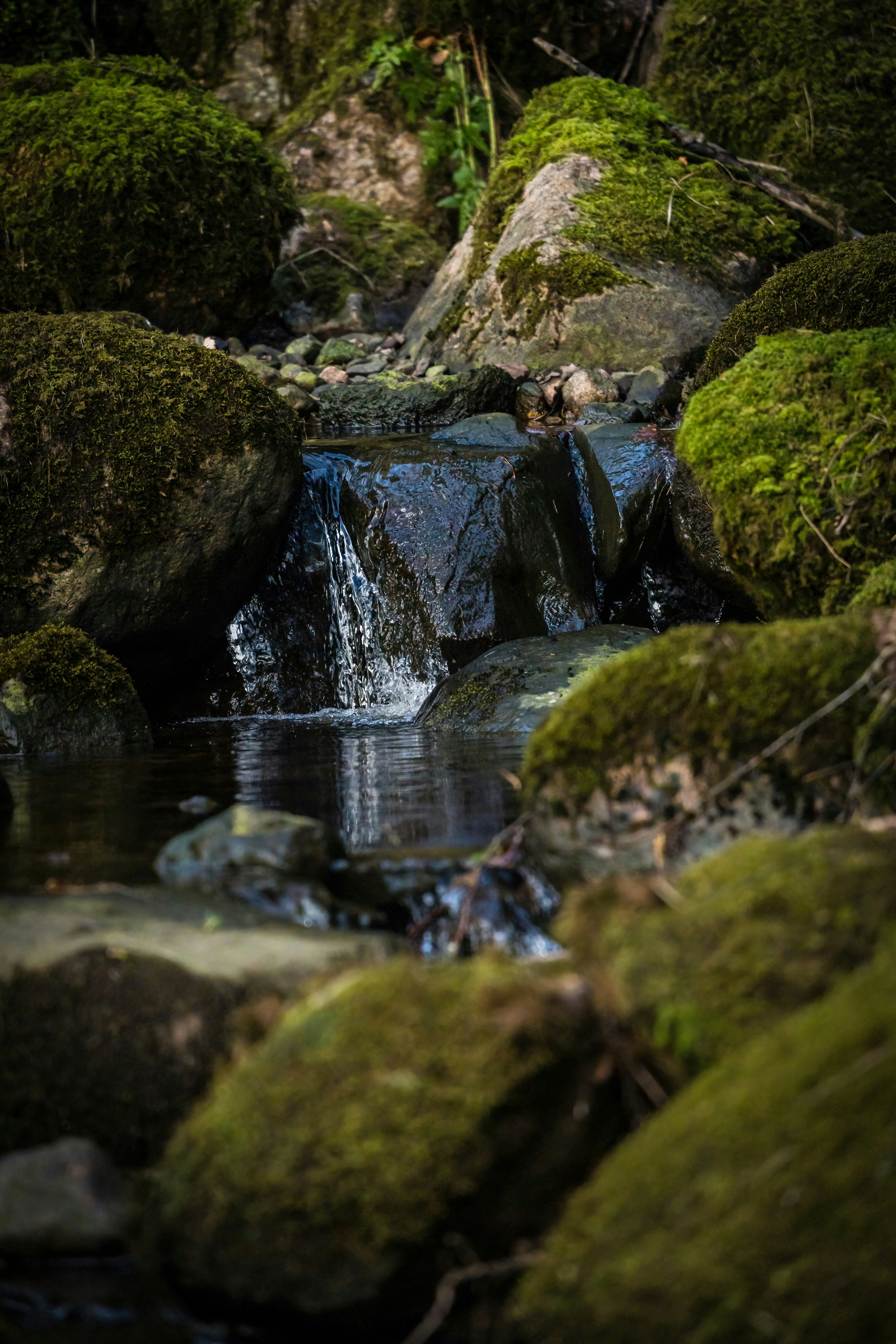 Gentle waterfall cascading over moss-covered rocks in a serene forest setting.