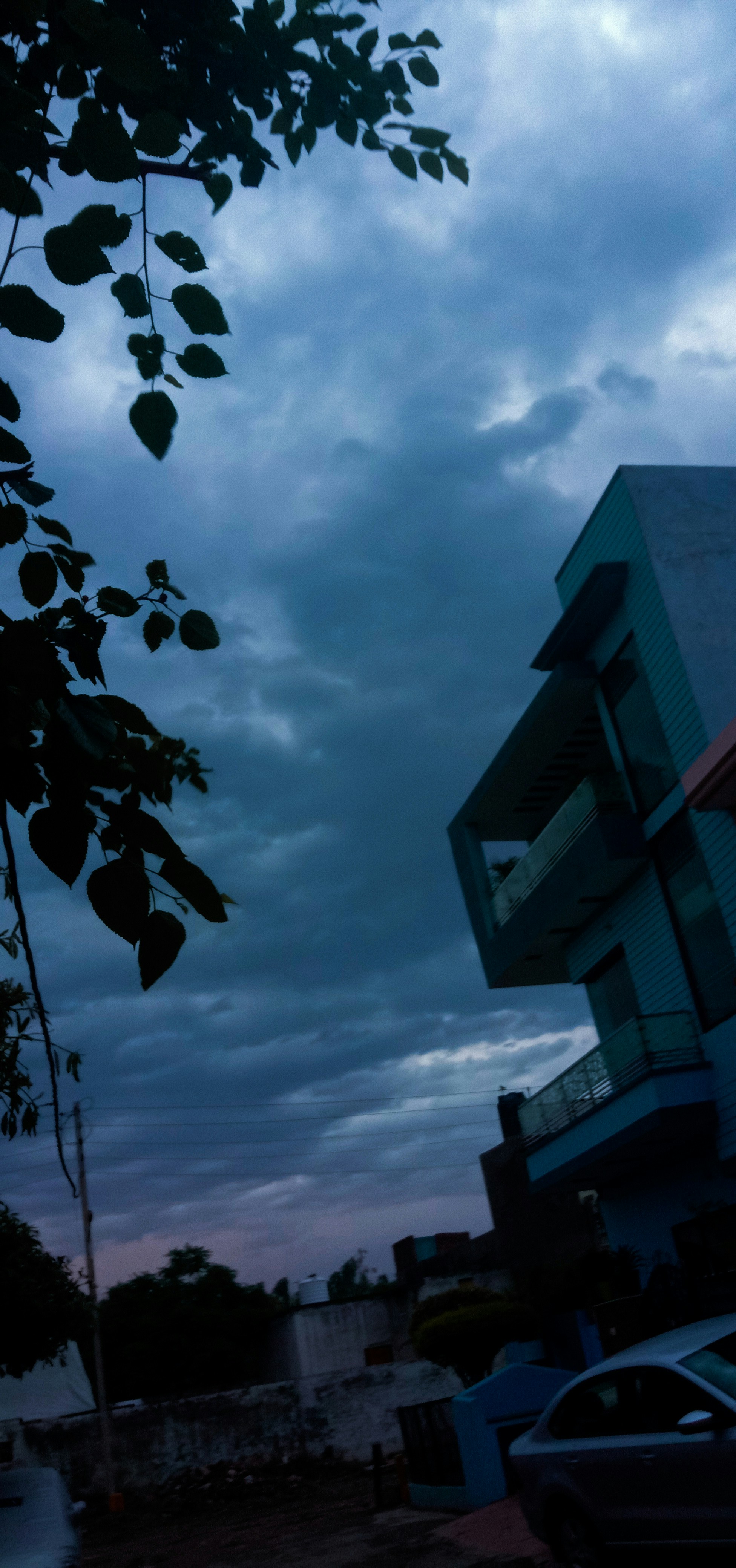 Dark clouds loom over a modern building, framed by leaves, hinting at an imminent downpour.