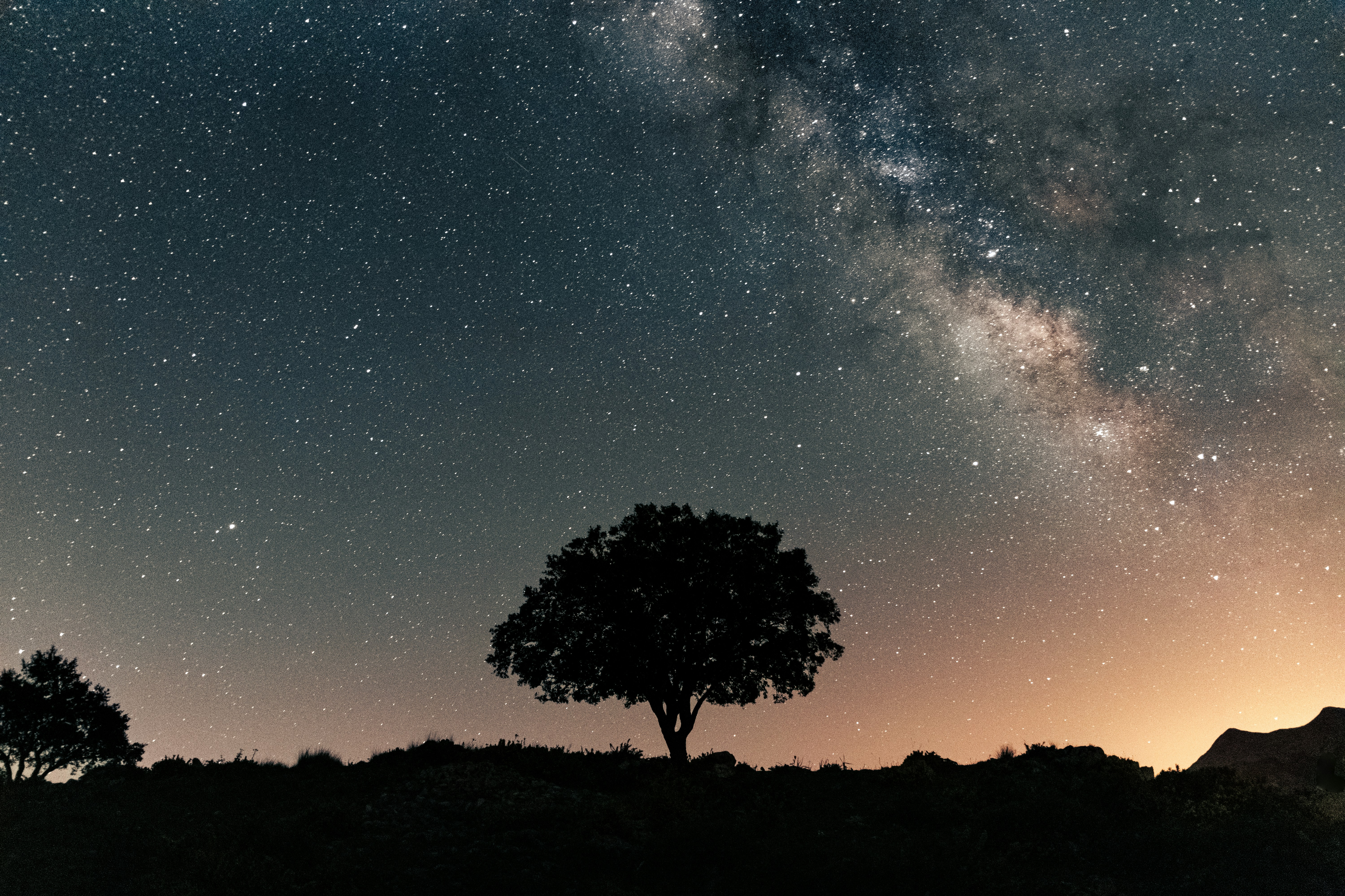 Milky Way Over a Lone Tree: Night-Sky Silhouette Beneath the Galaxy