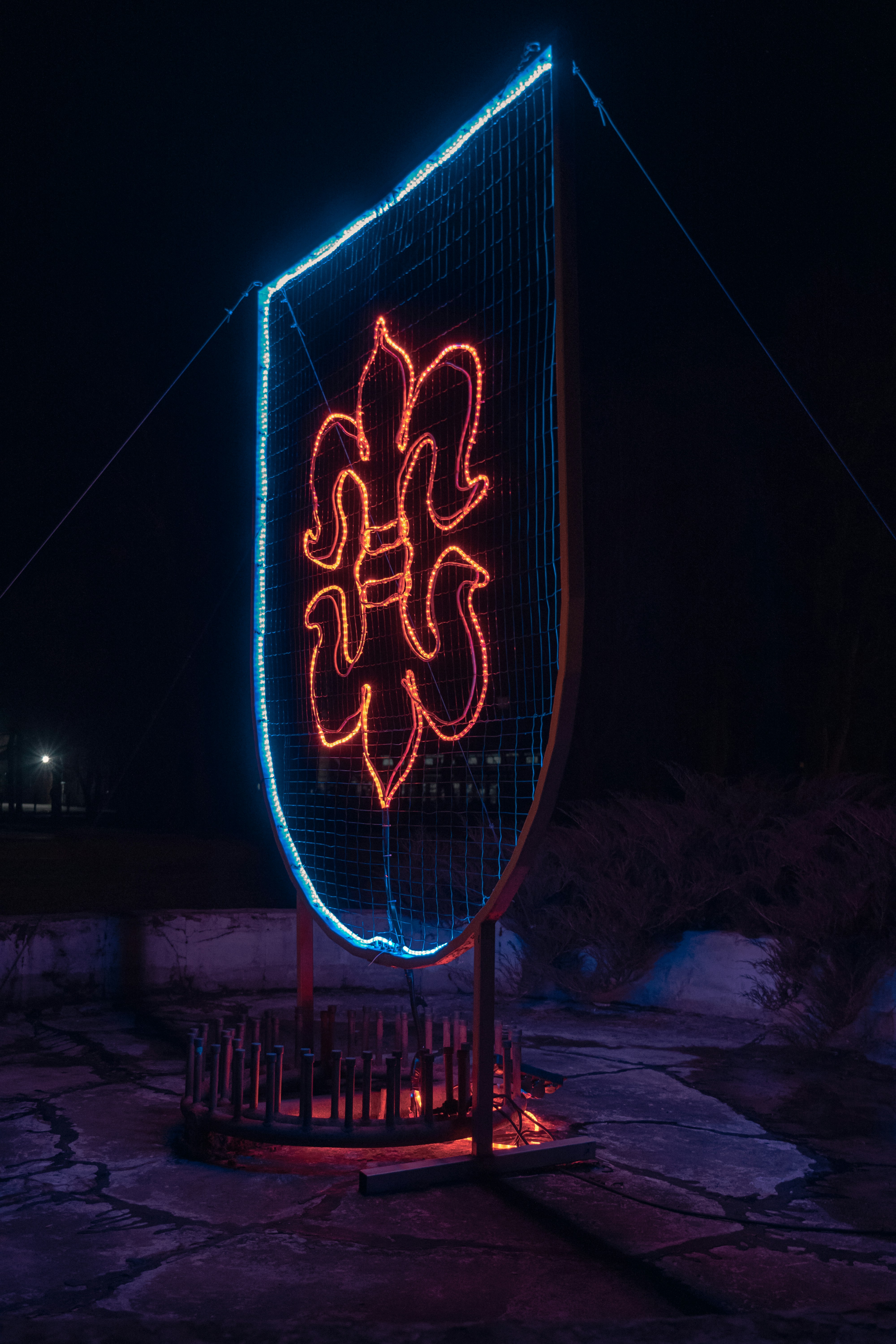 A vibrant neon shield showcasing a stylized fleur-de-lis against a dark backdrop, highlighting the artistry of light in outdoor settings.