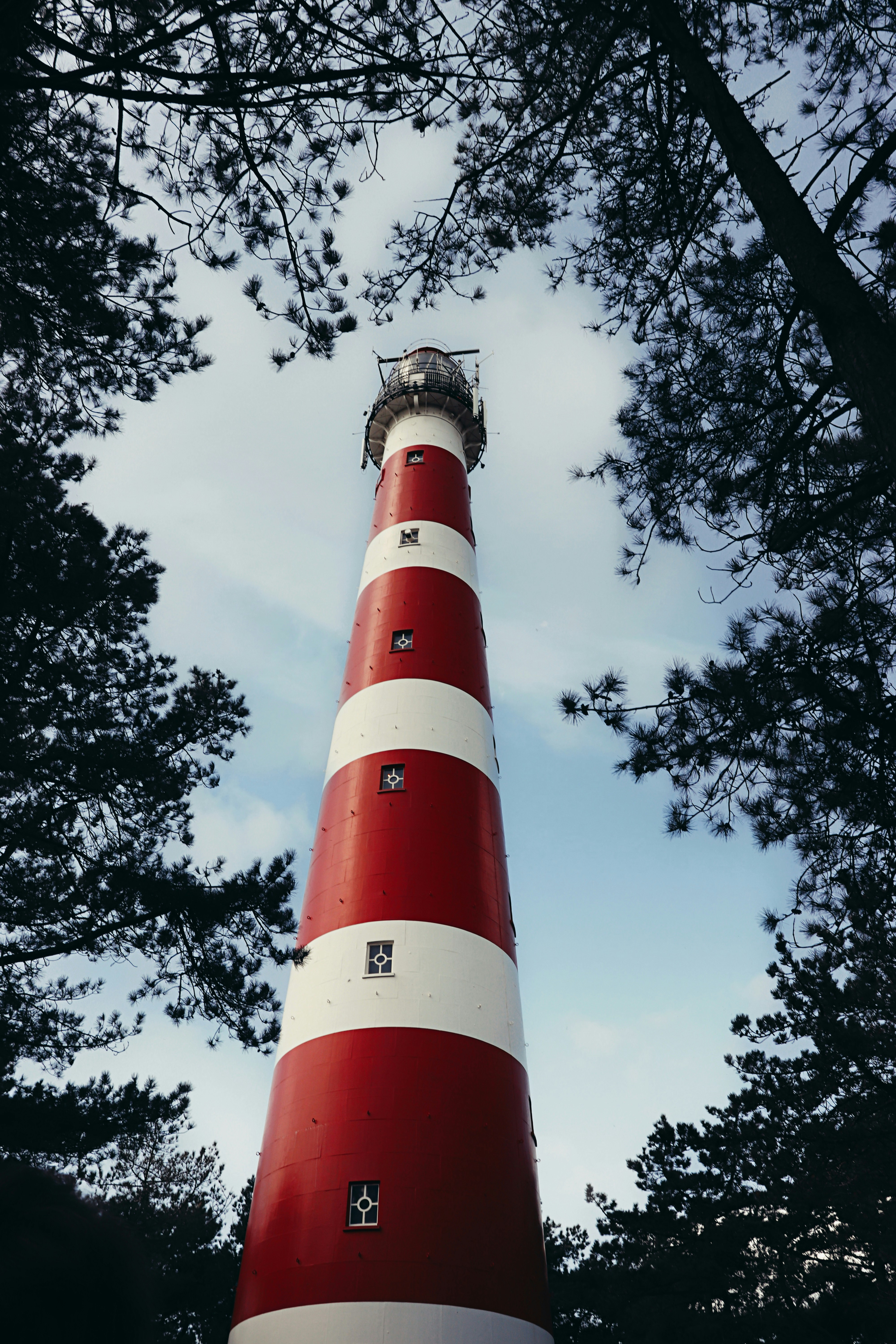 Beacon Through the Pines: A Red-and-White Lighthouse Rising Over Forest Shadows
