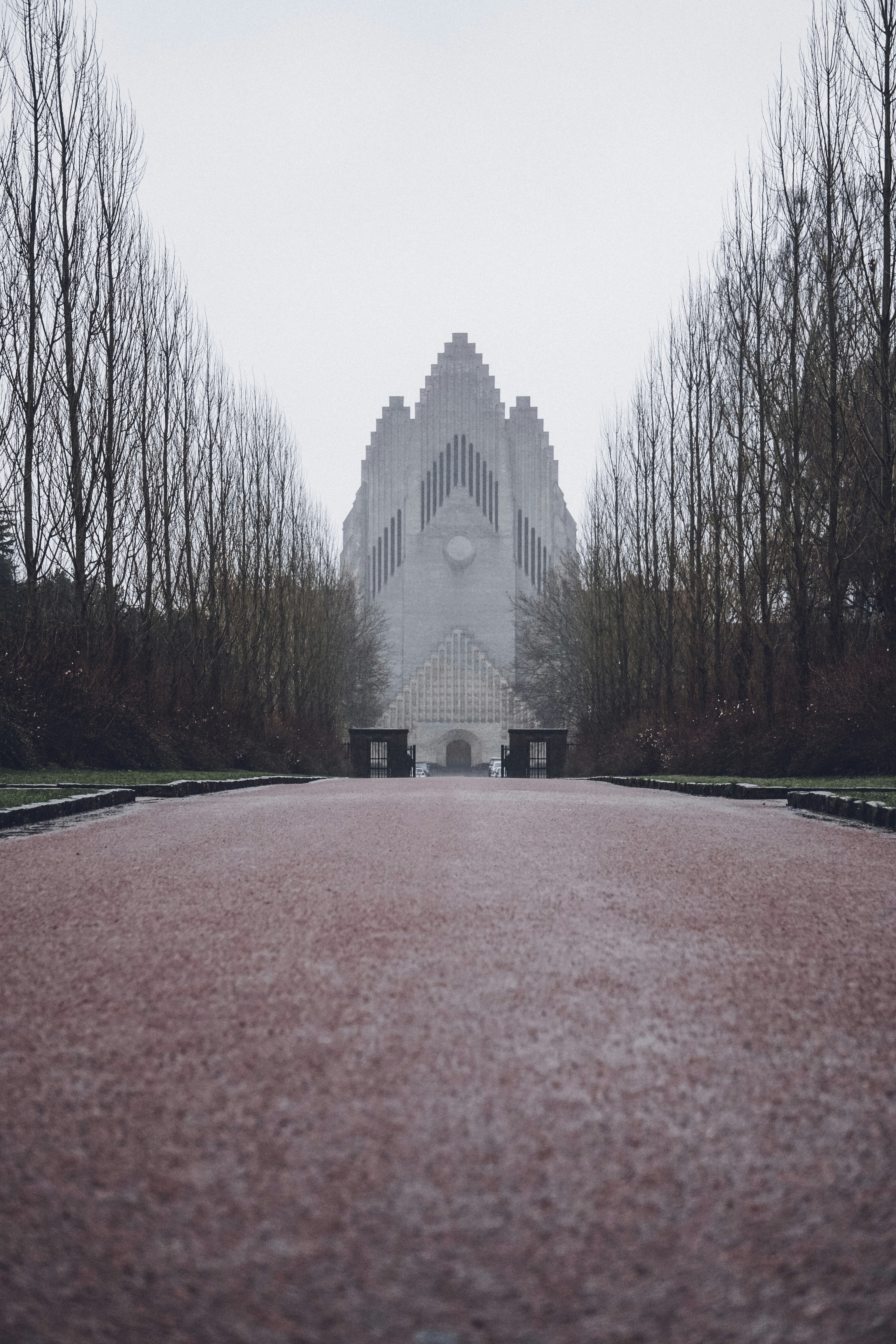 A striking modern building emerges through a misty landscape, framed by bare trees lining a tranquil path.