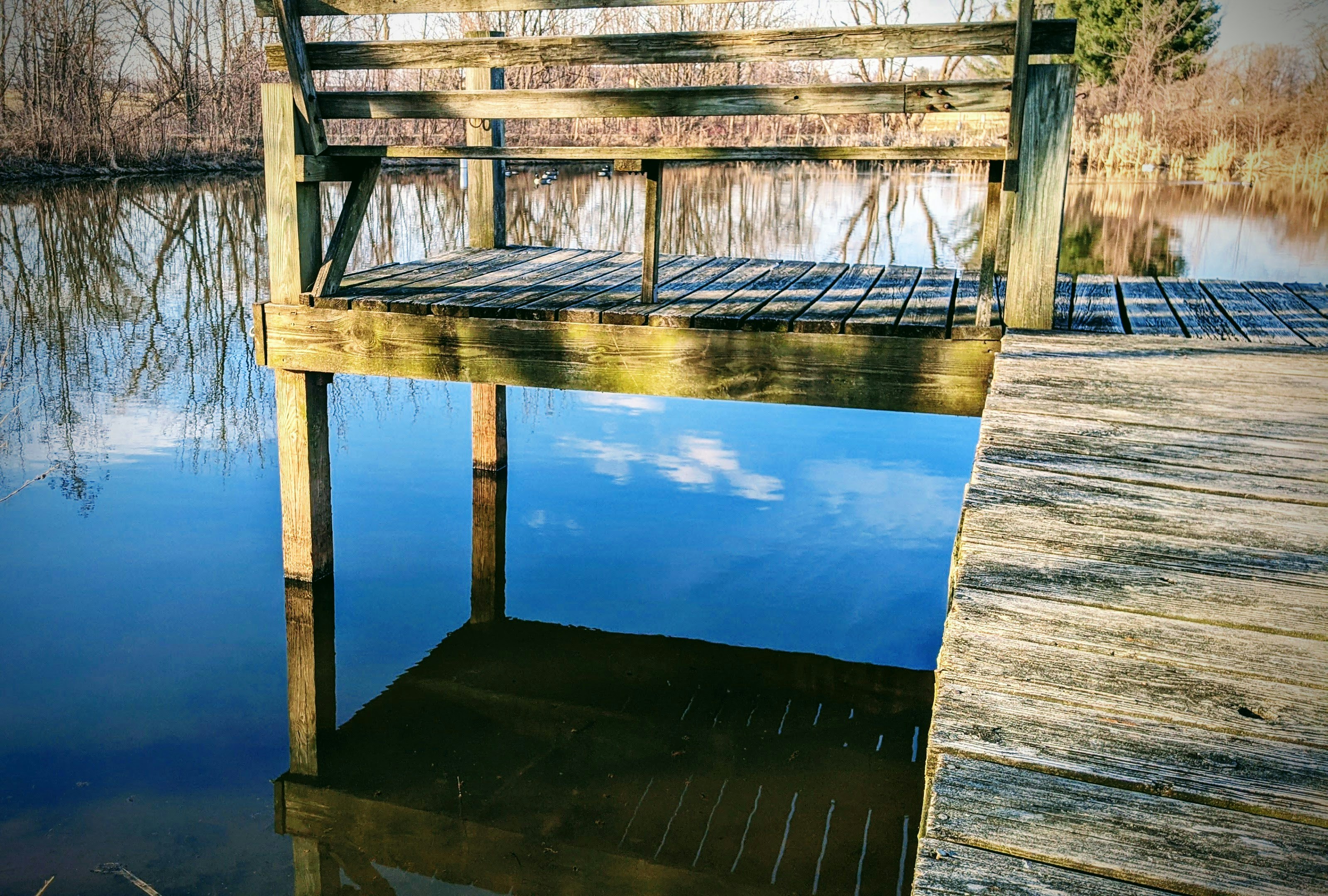 Water reflection in pond