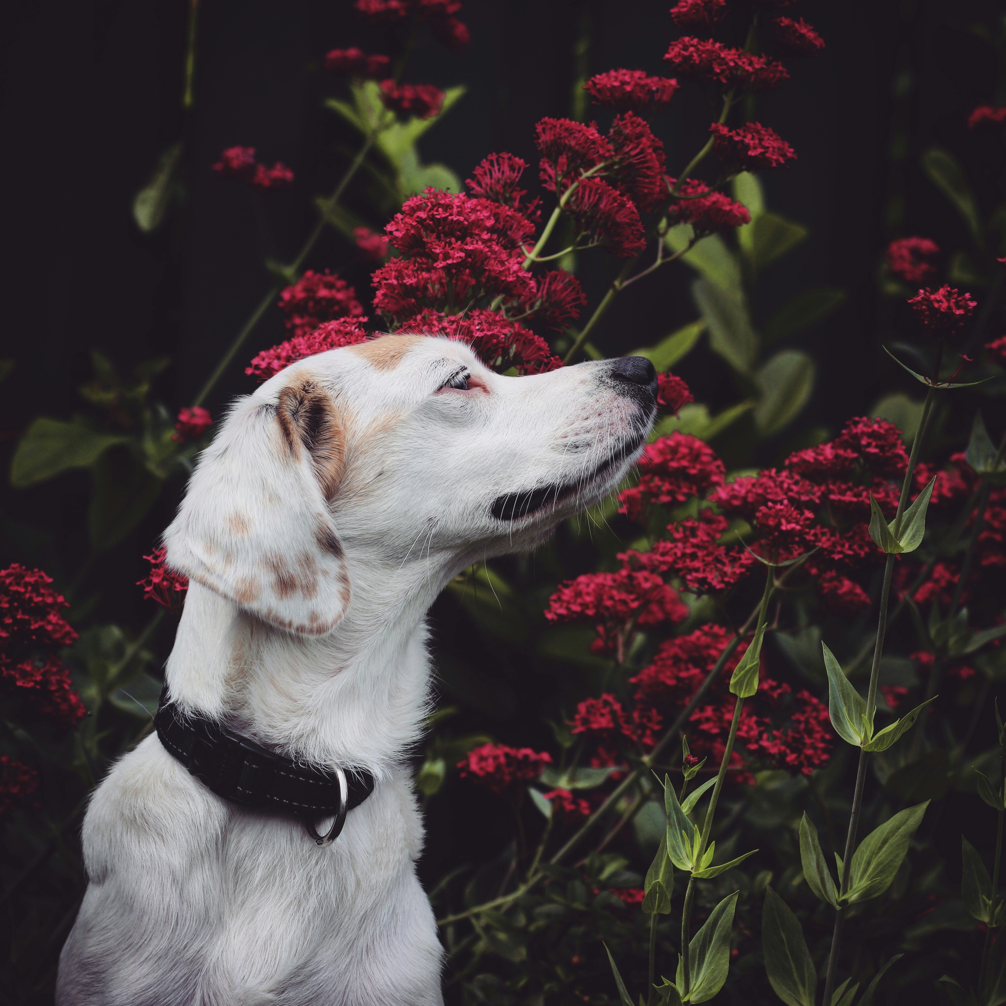 Photo by Rafaëlla Waasdorp with Canon EOS 77D