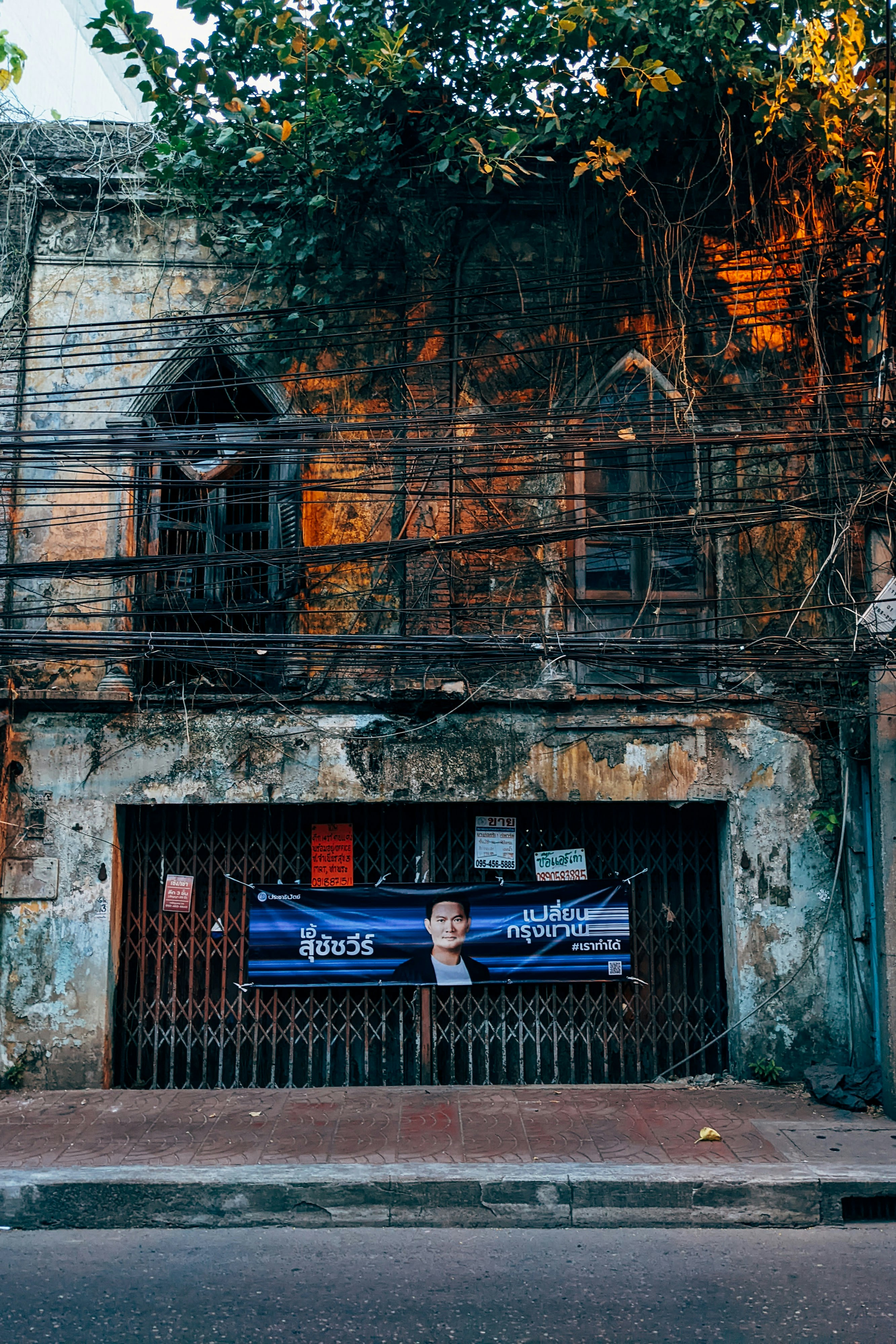 An old building with vines growing over it photo – Free Bangkok Image ...