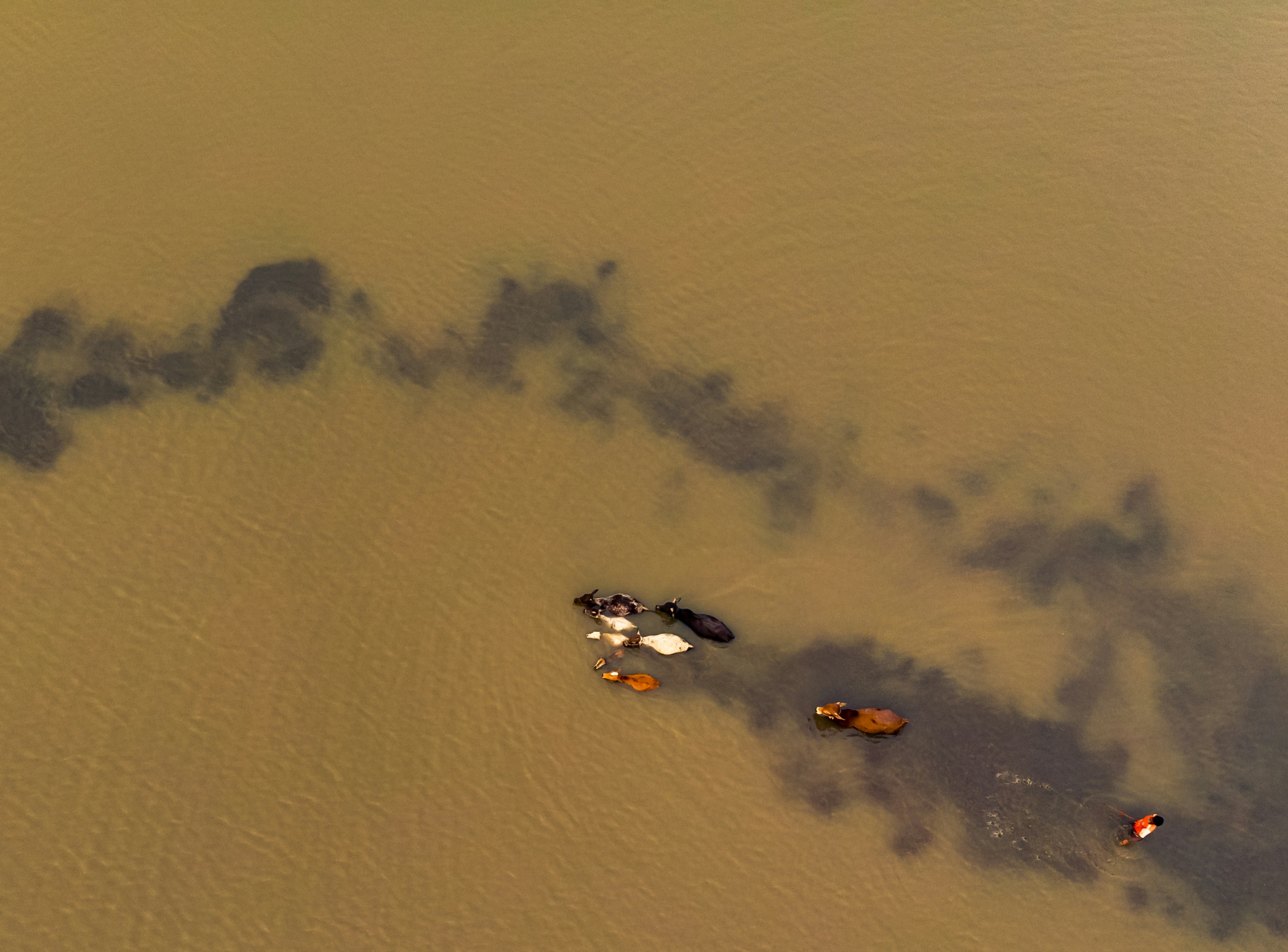 a group of boats floating in a body of water