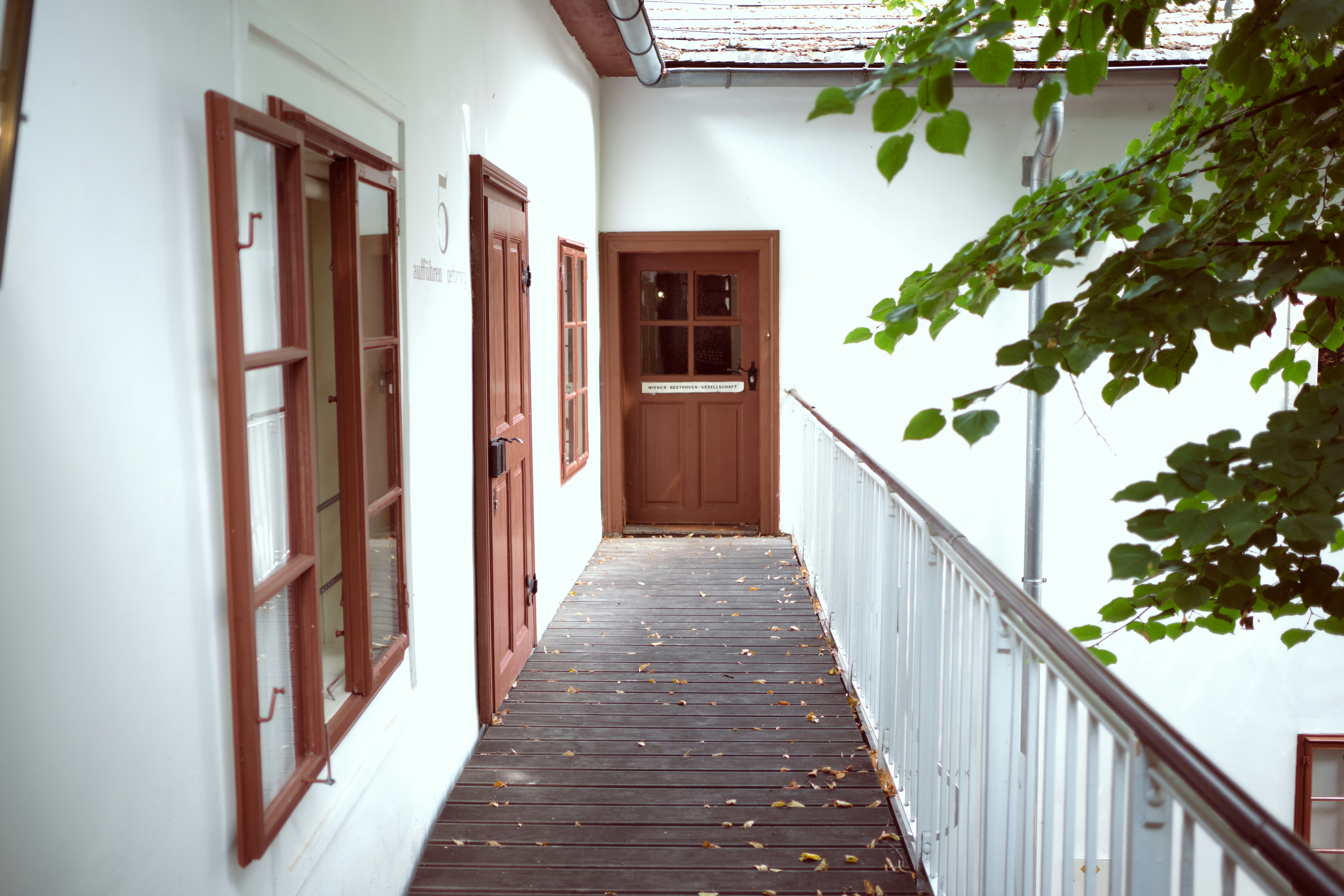 A wooden walkway leading to a door and window photo – Free Vienna Image ...