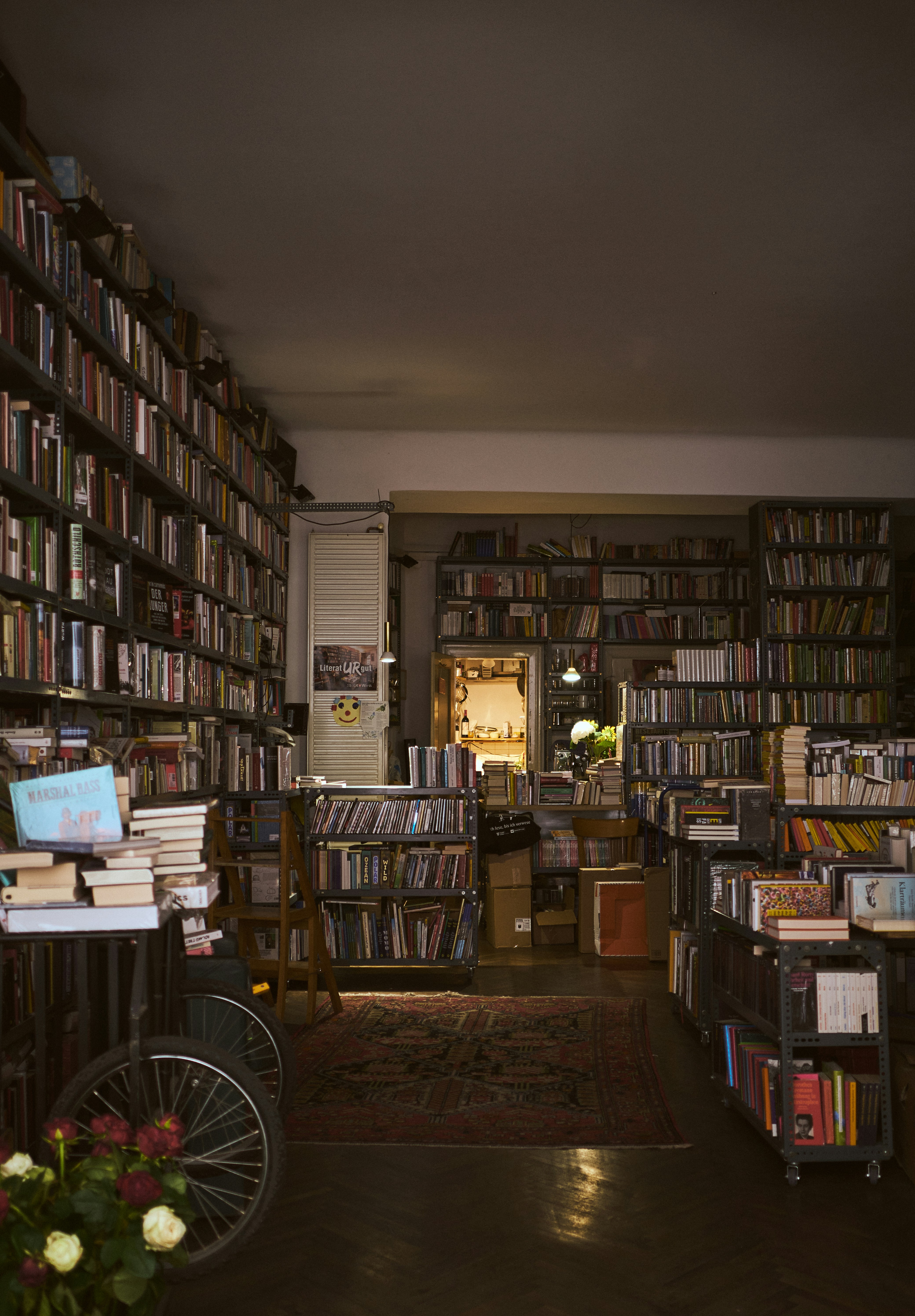 Cozy bookstore filled with shelves of books, inviting readers to explore. A warm glow emanates from the back, hinting at the treasures within.