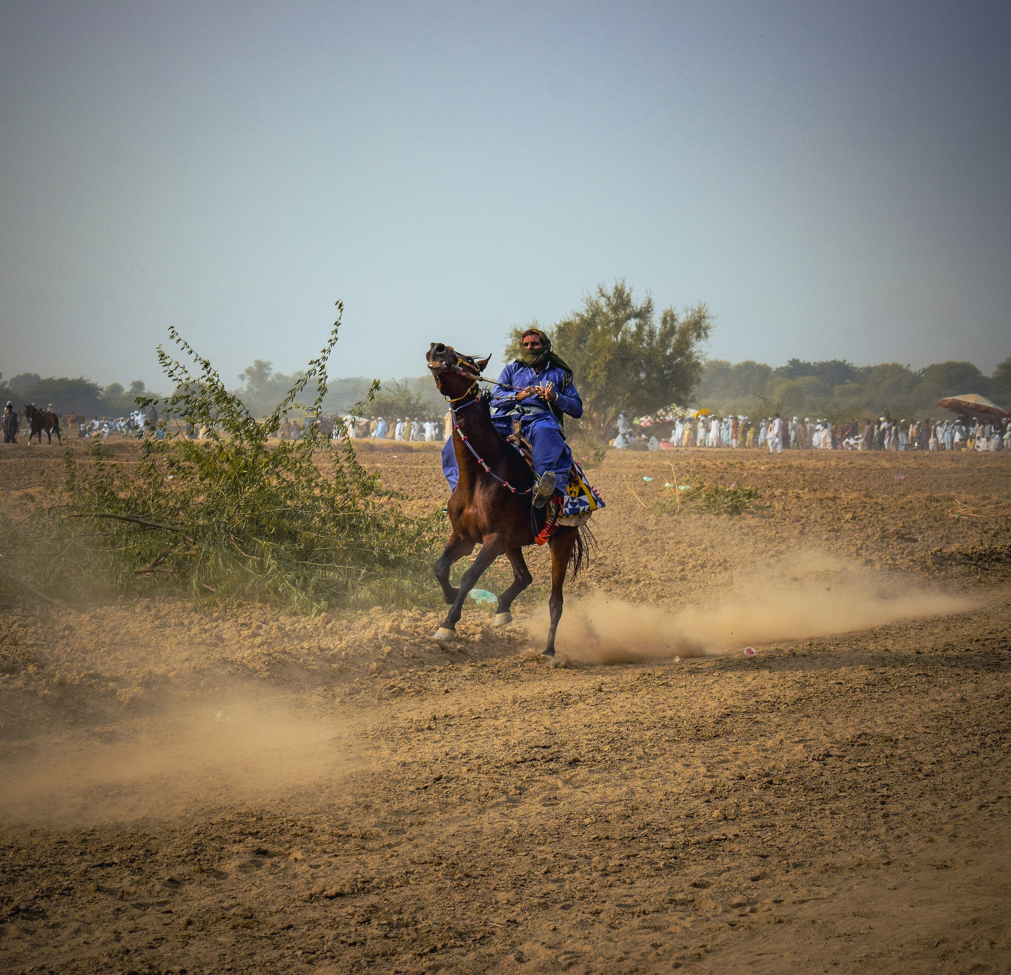 A rider in blue attire races a decorated horse across a dusty field, with a crowd in the background. The scene captures the essence of equestrian tradition.