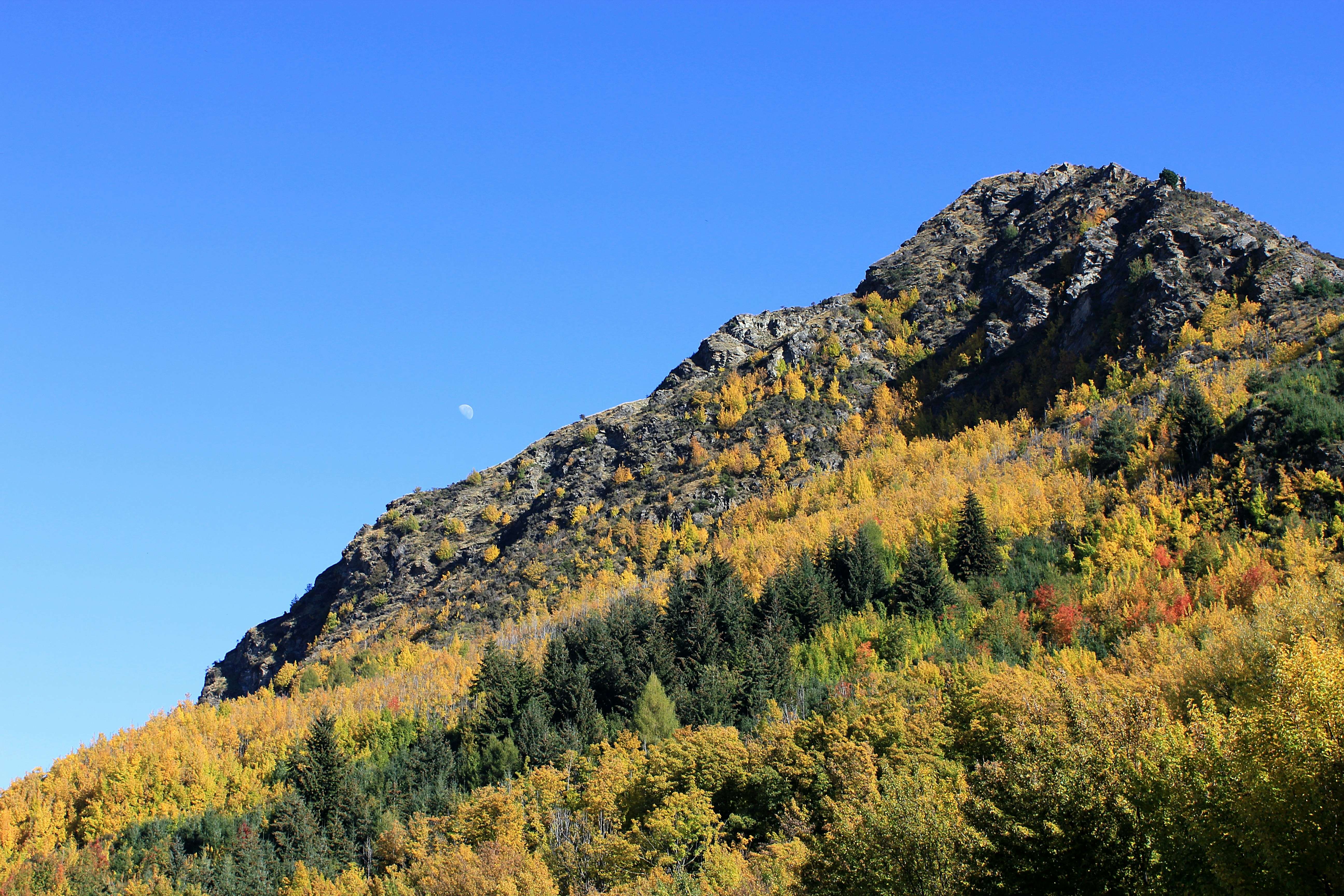 Autumn Crown on the Granite Ridge