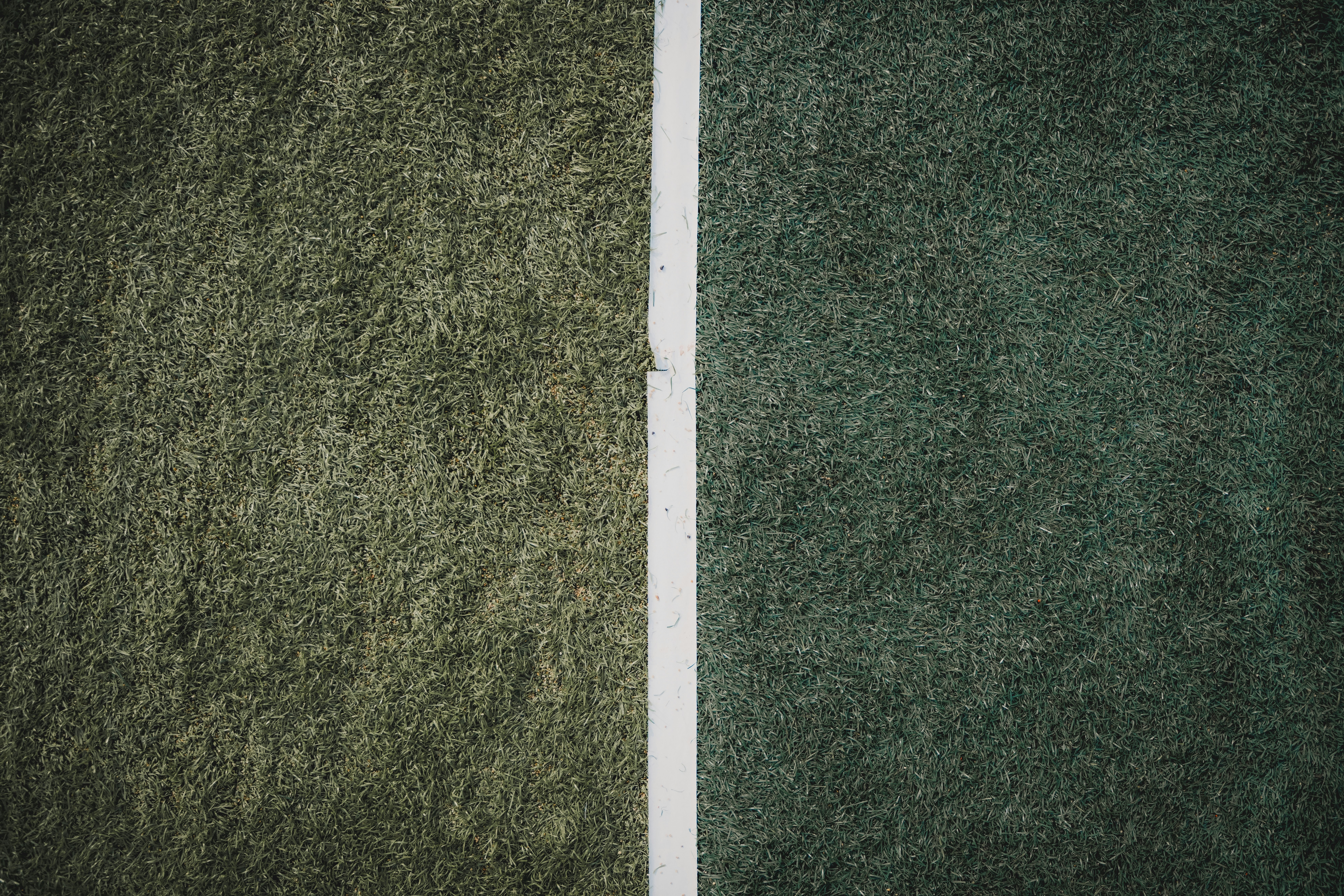 Two tennis courts with green grass and white lines photo – Free Texture ...