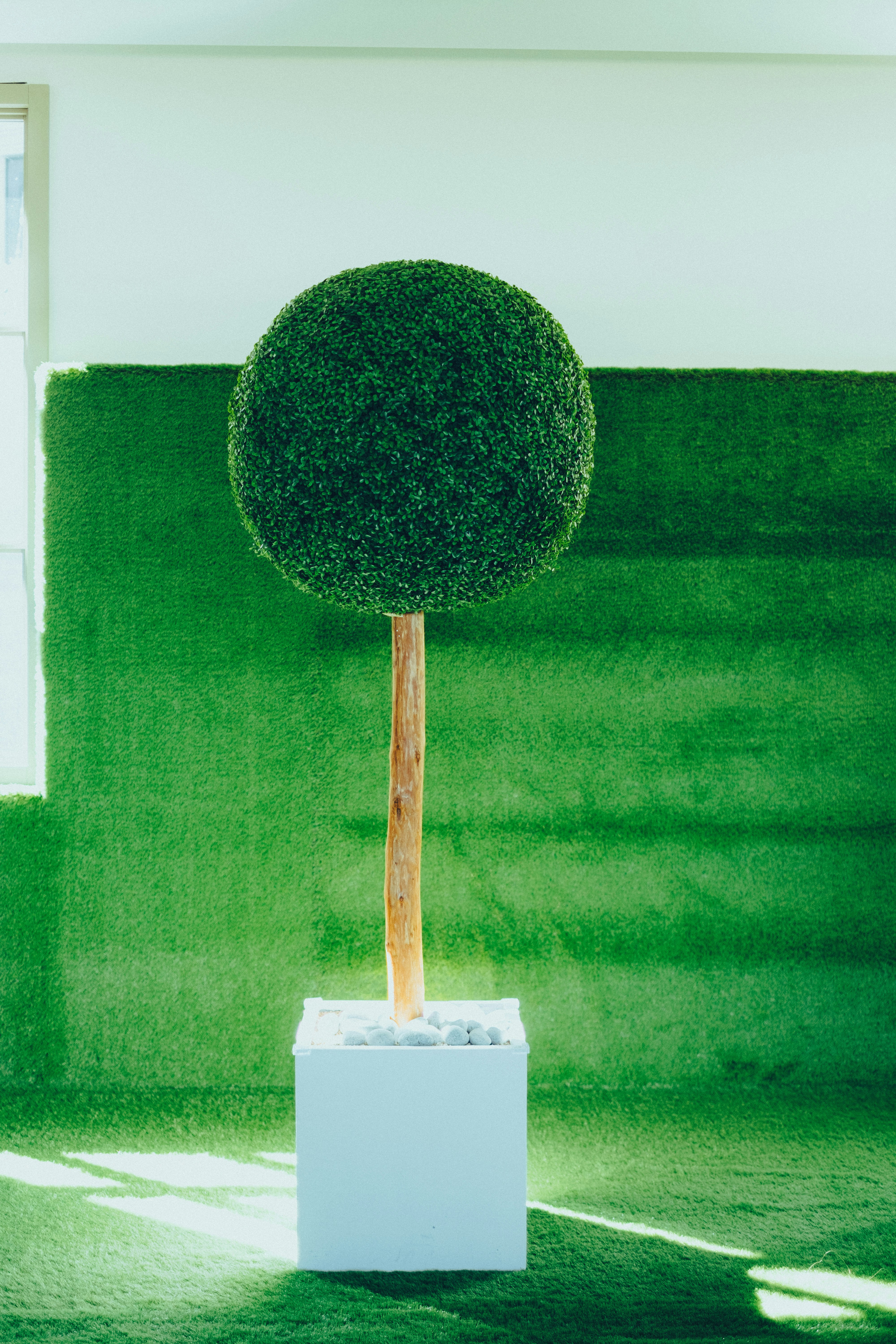 Topiary Sphere on a Wooden Stem: A Minimal Green Geometry