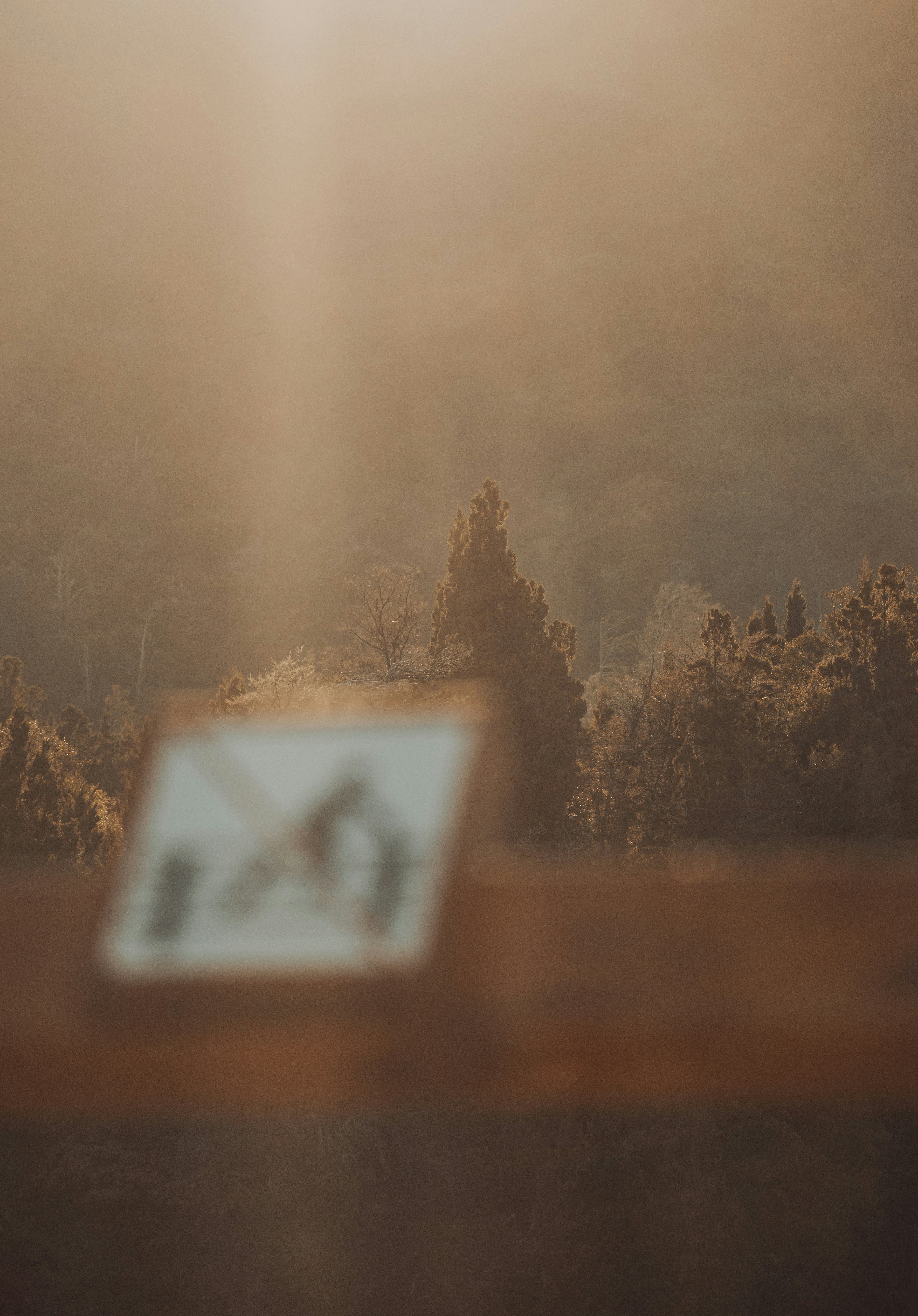 Amber Dawn Over the Ridge: A Quiet Horizon with a Blurred Foreground Sign