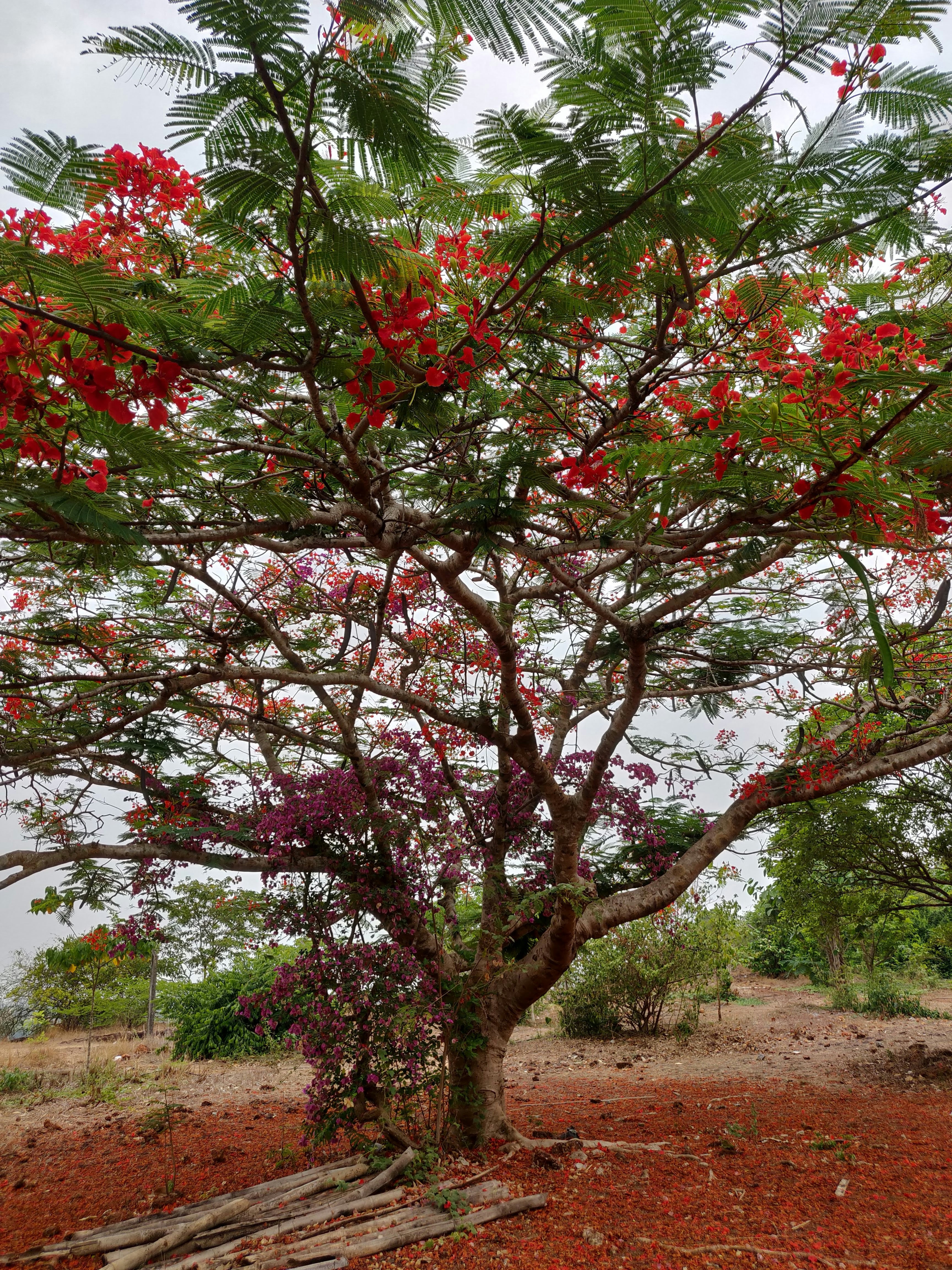 Karen Mark (@karenmark19) | Comunidade de fotos da Unsplash