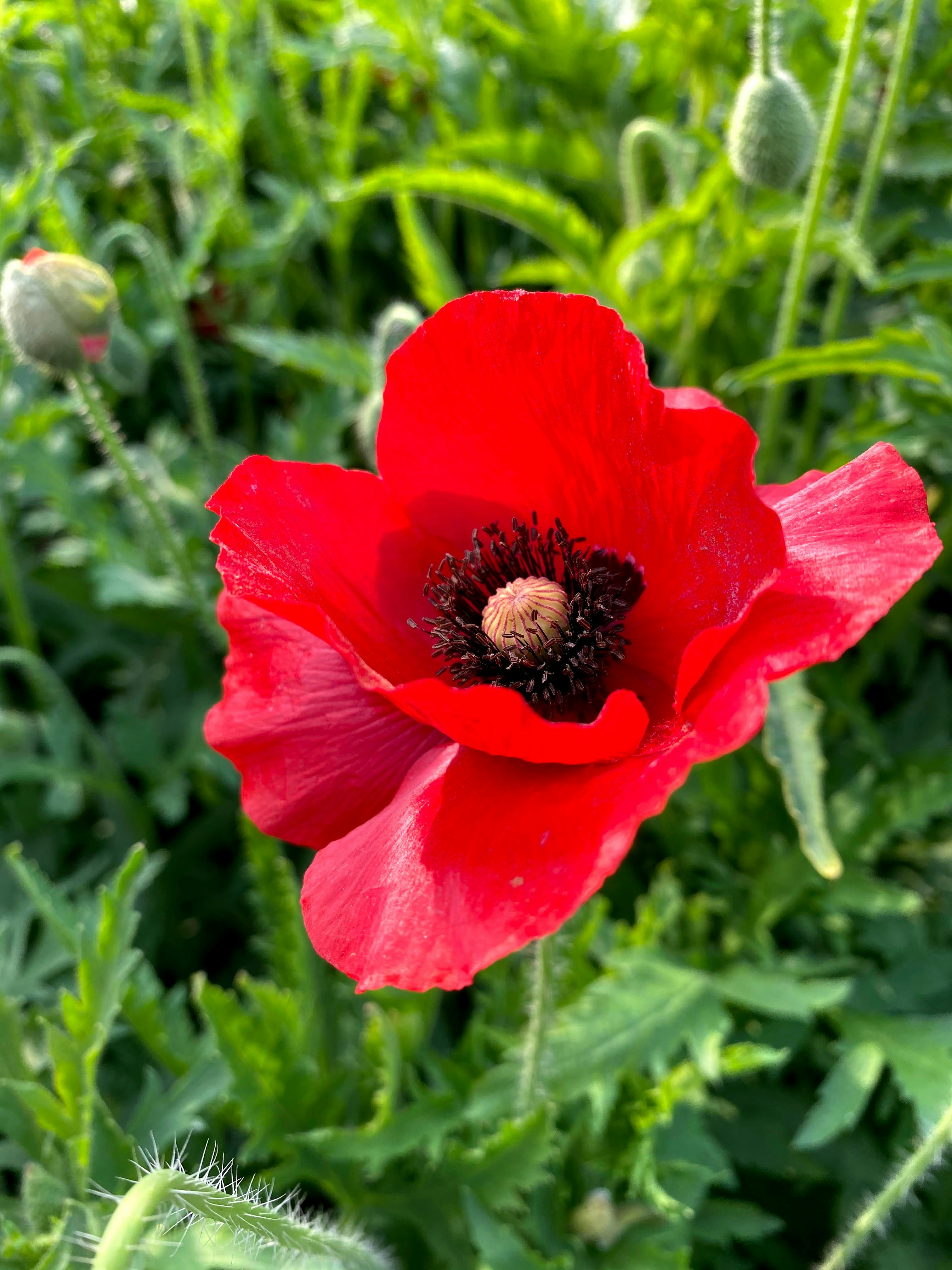 Karen Mark (@karenmark19) | Comunidade de fotos da Unsplash