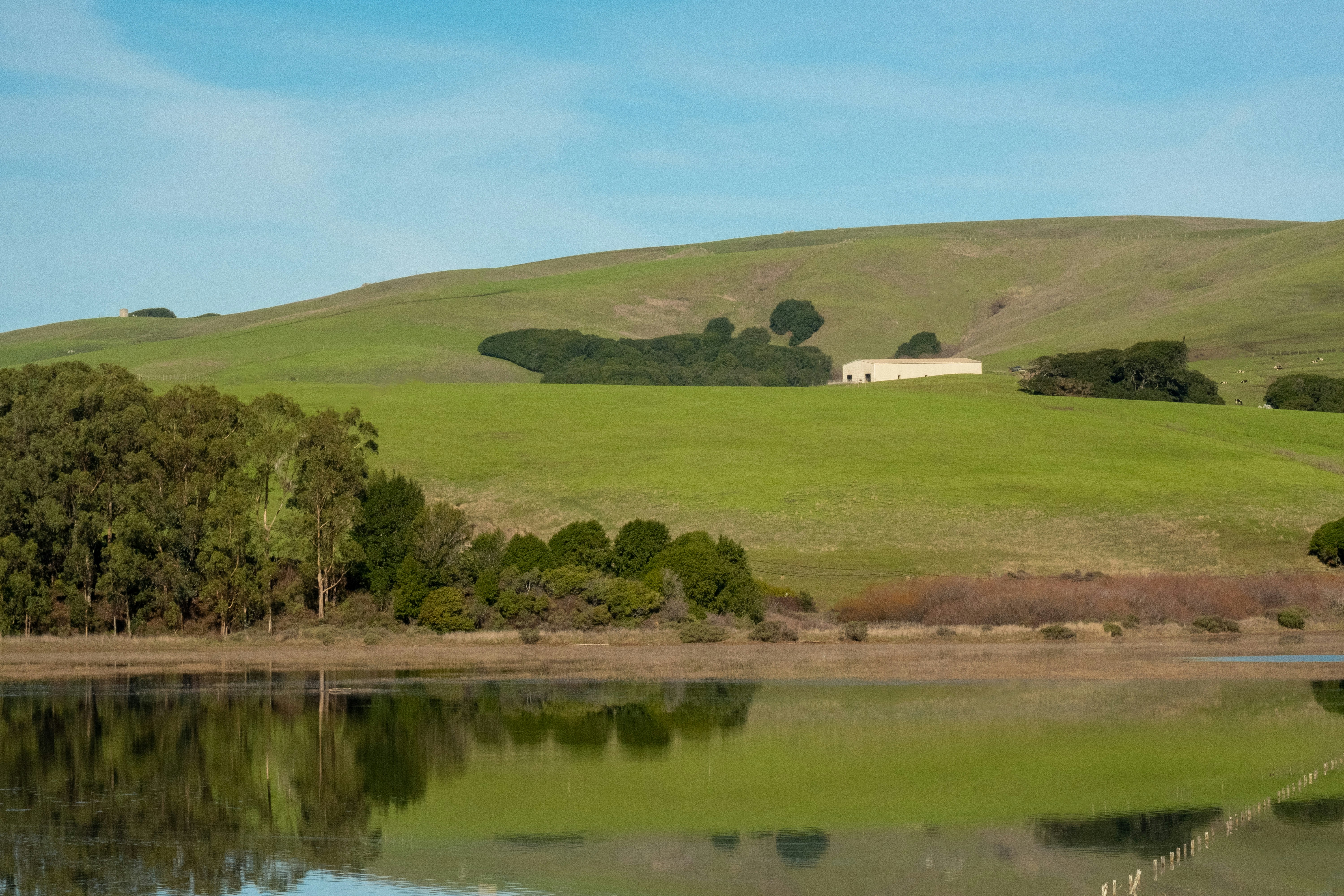 While walking the Tomales Bay Trail I witnessed this beautiful division between reflection, land and sky.
