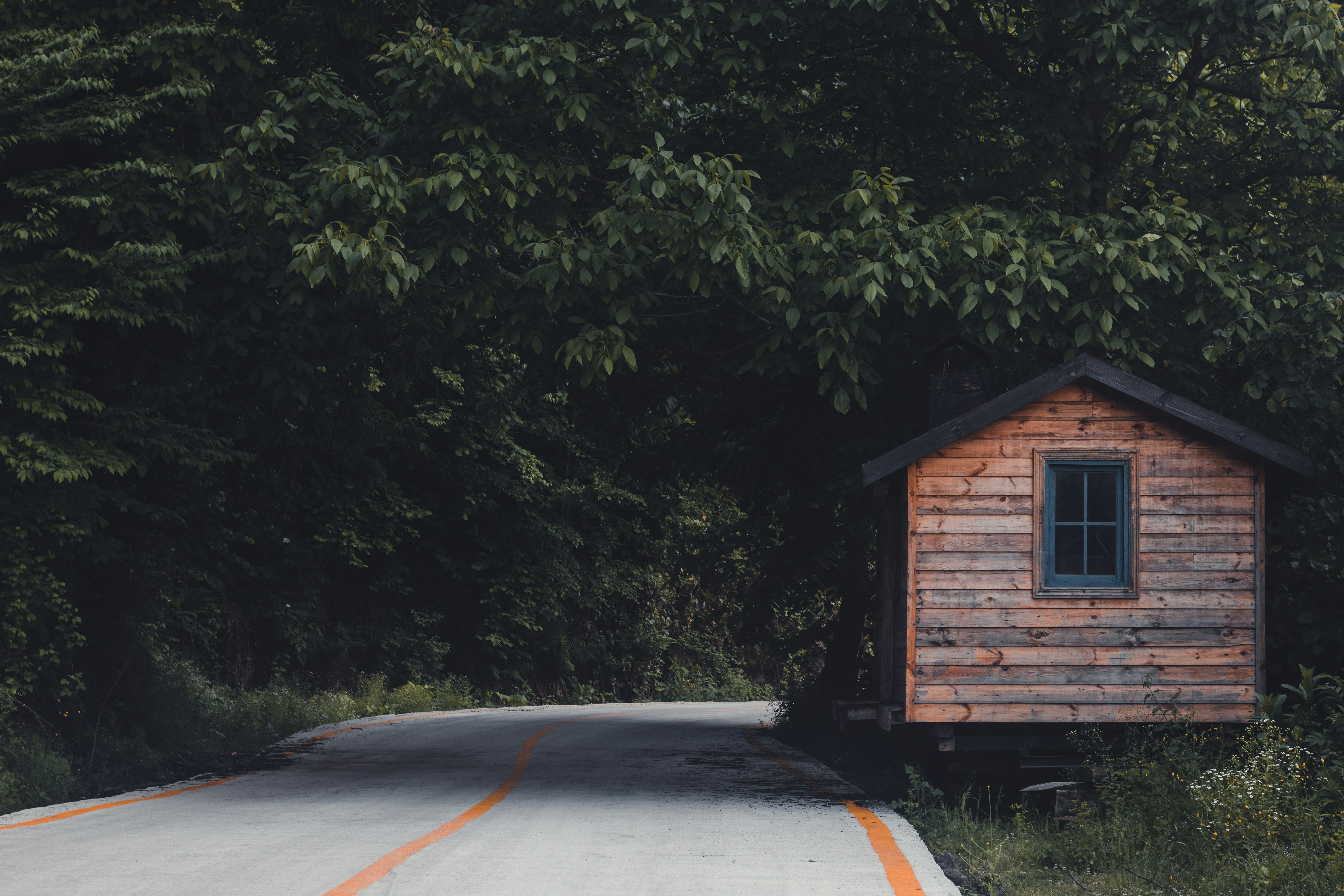 Small wooden cabin nestled beside a winding road under a lush canopy of trees.