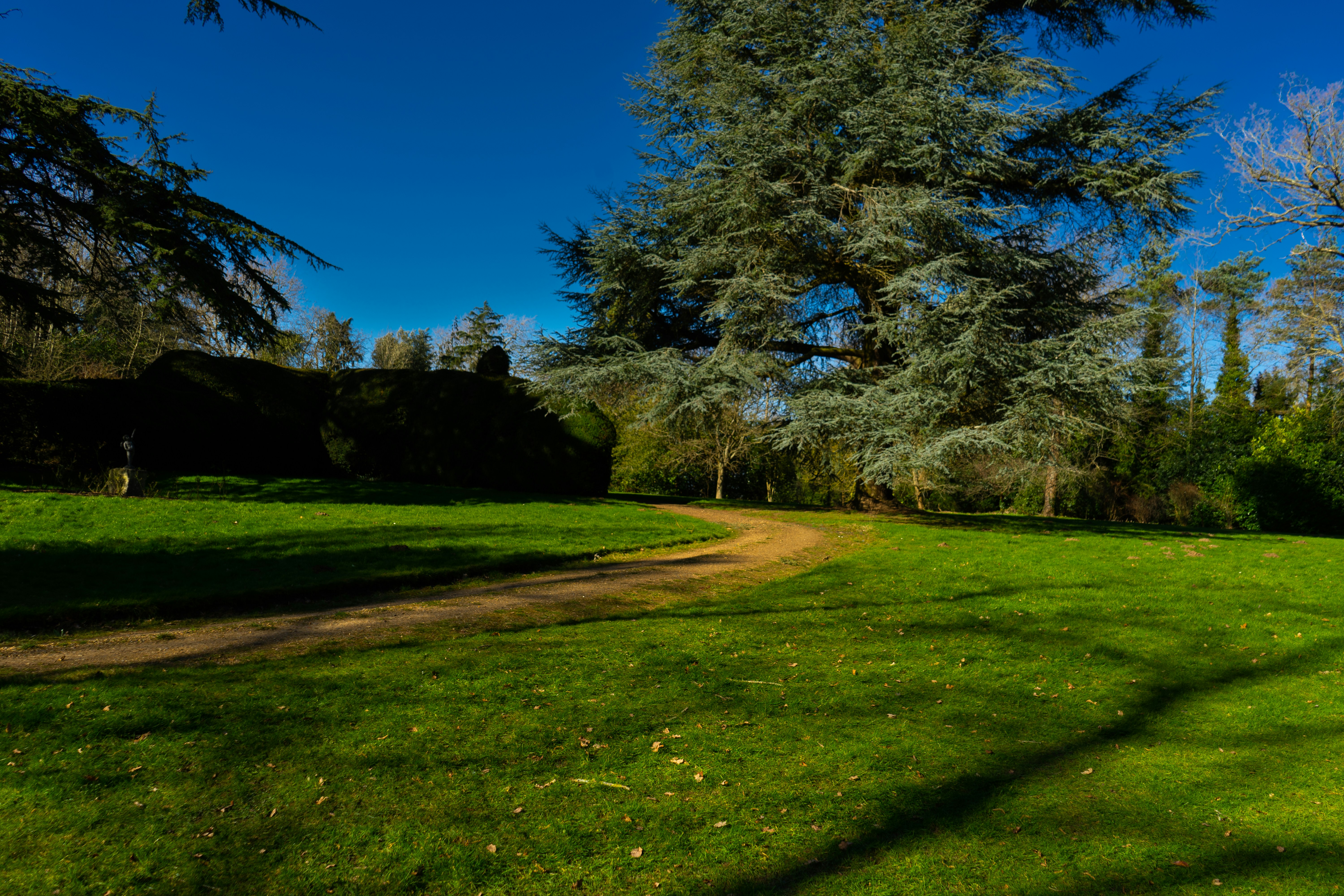 Curved dirt path meandering through a lush green landscape under a clear blue sky, framed by towering trees. Natural light enhances the vibrant colors of the scene.