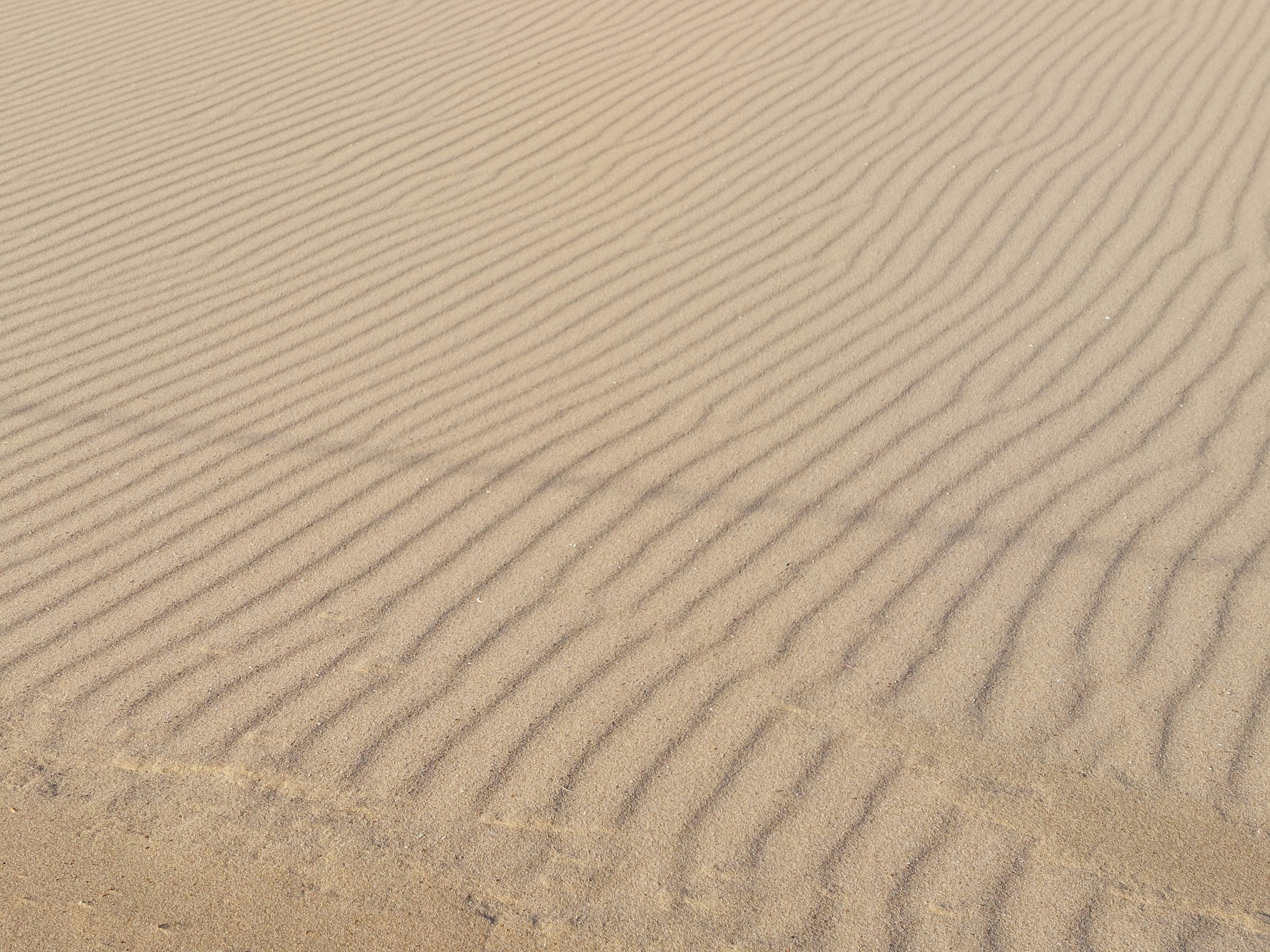 Un arenal con algunas líneas en la arena foto – Imagen de Ouddorp ...