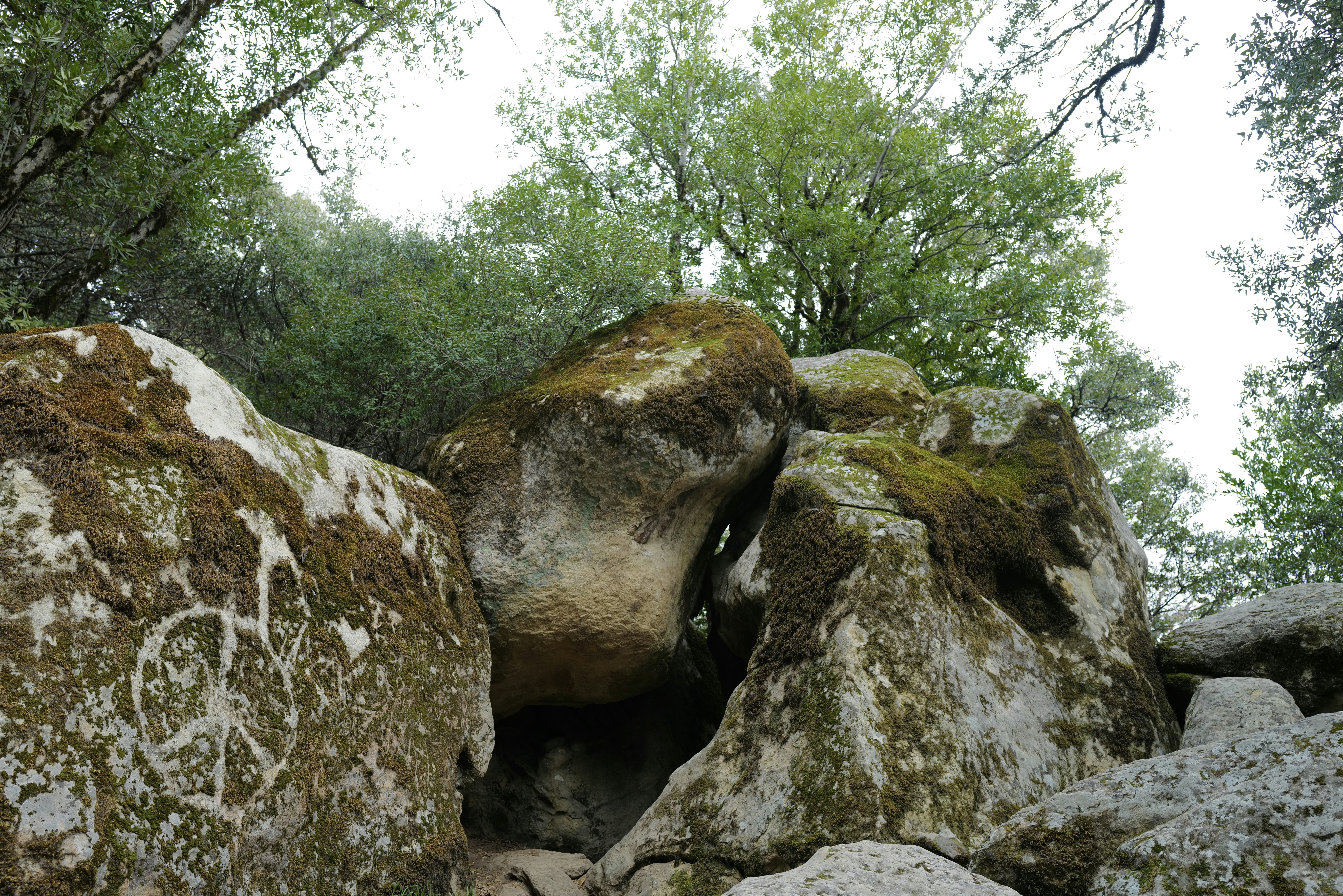 a large rock formation with trees in the background