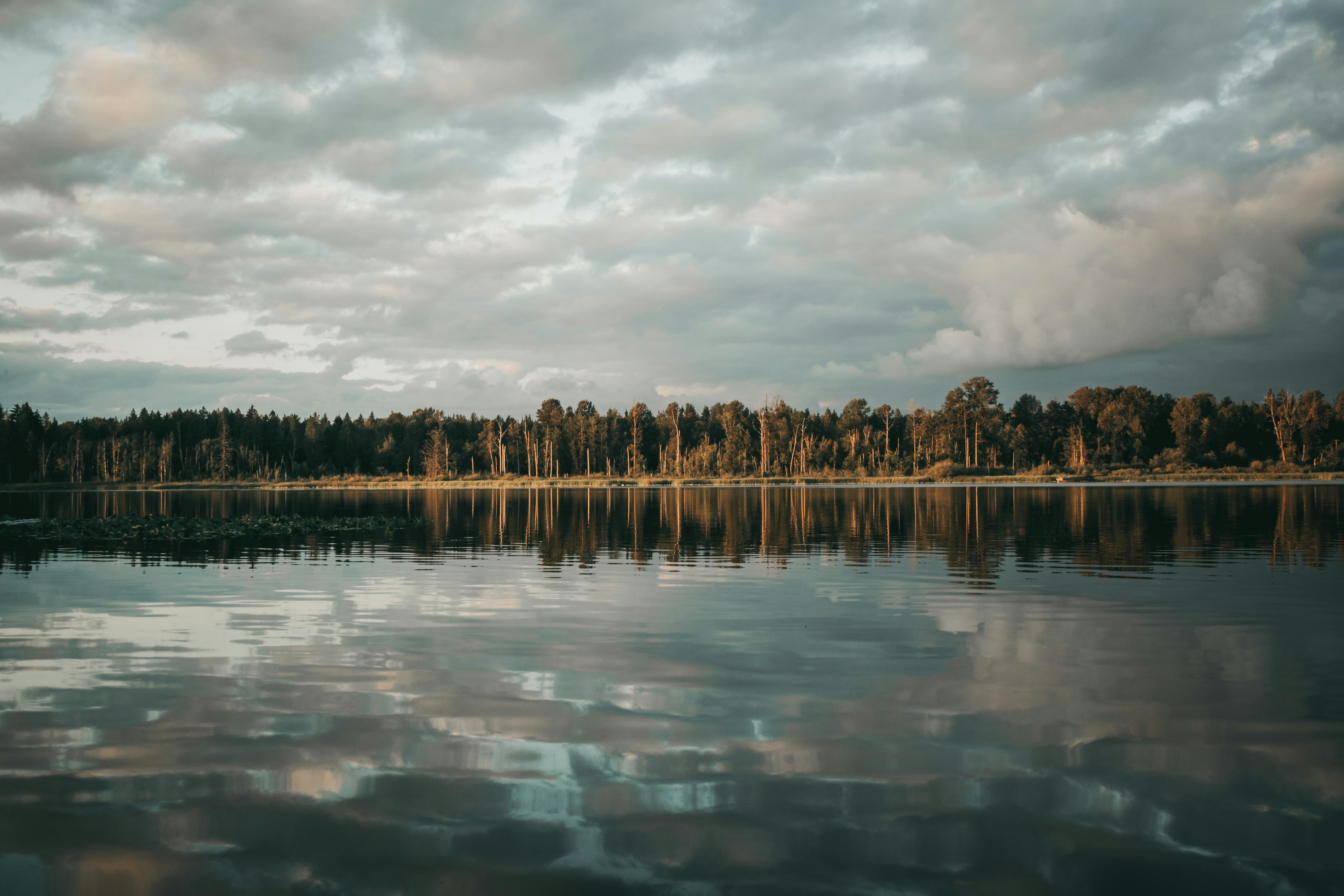 Calm lake reflecting a tree-lined horizon under a cloudy sky, evoking a sense of peace and serenity.