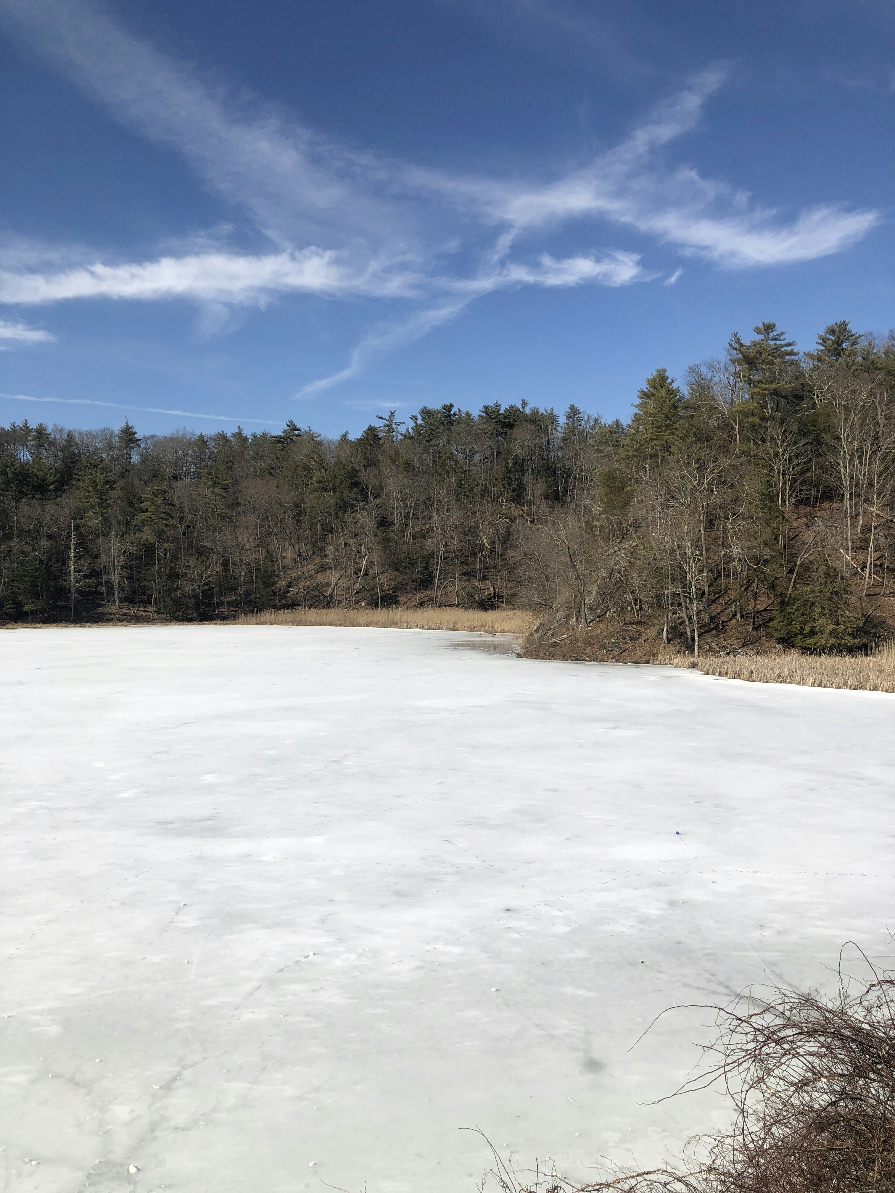 A serene frozen lake surrounded by bare trees under a clear blue sky, showcasing the tranquility of winter's chill.
