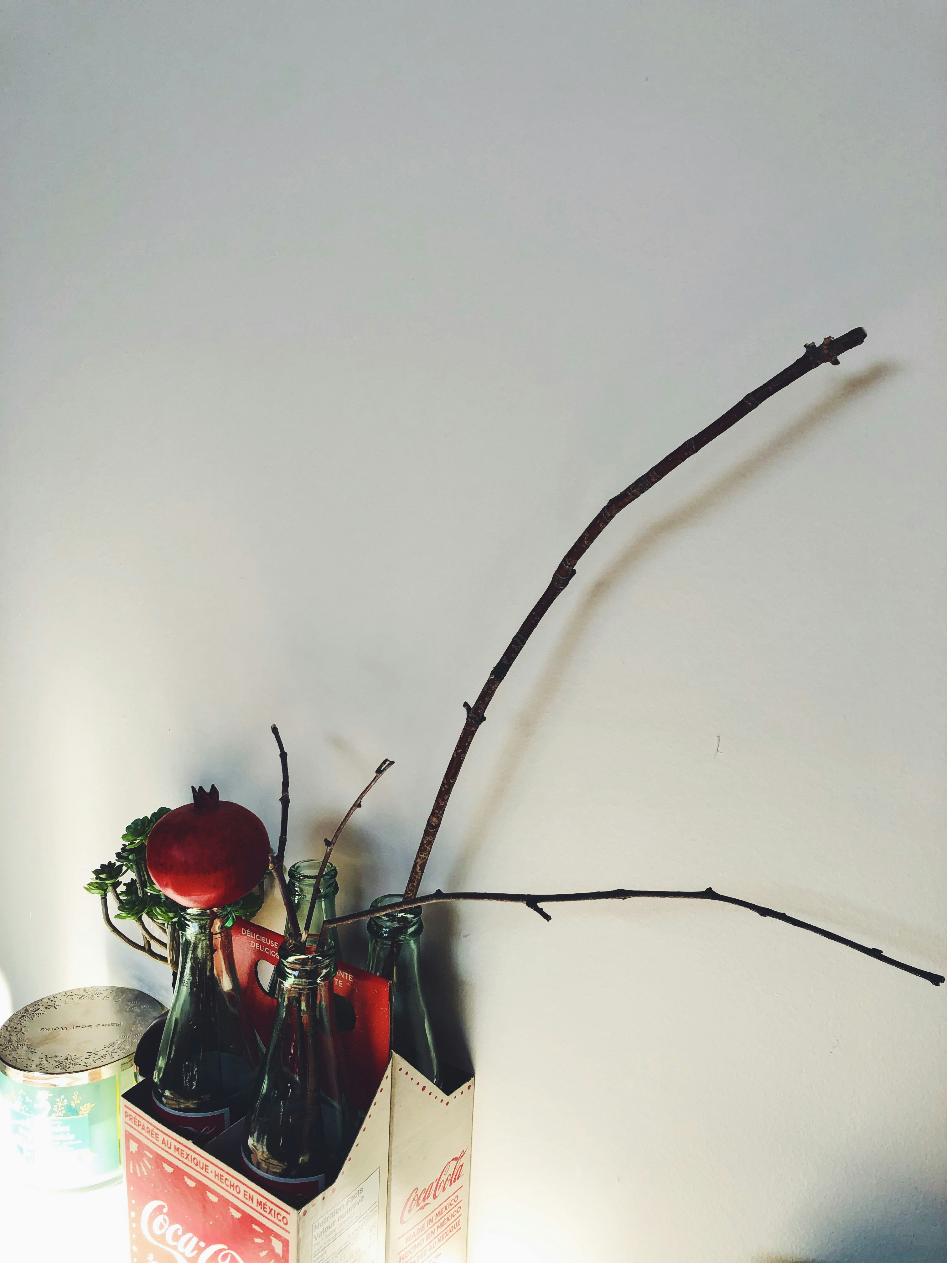 Red Apple Crowned by Bottles in a Dim Coca-Cola Still Life