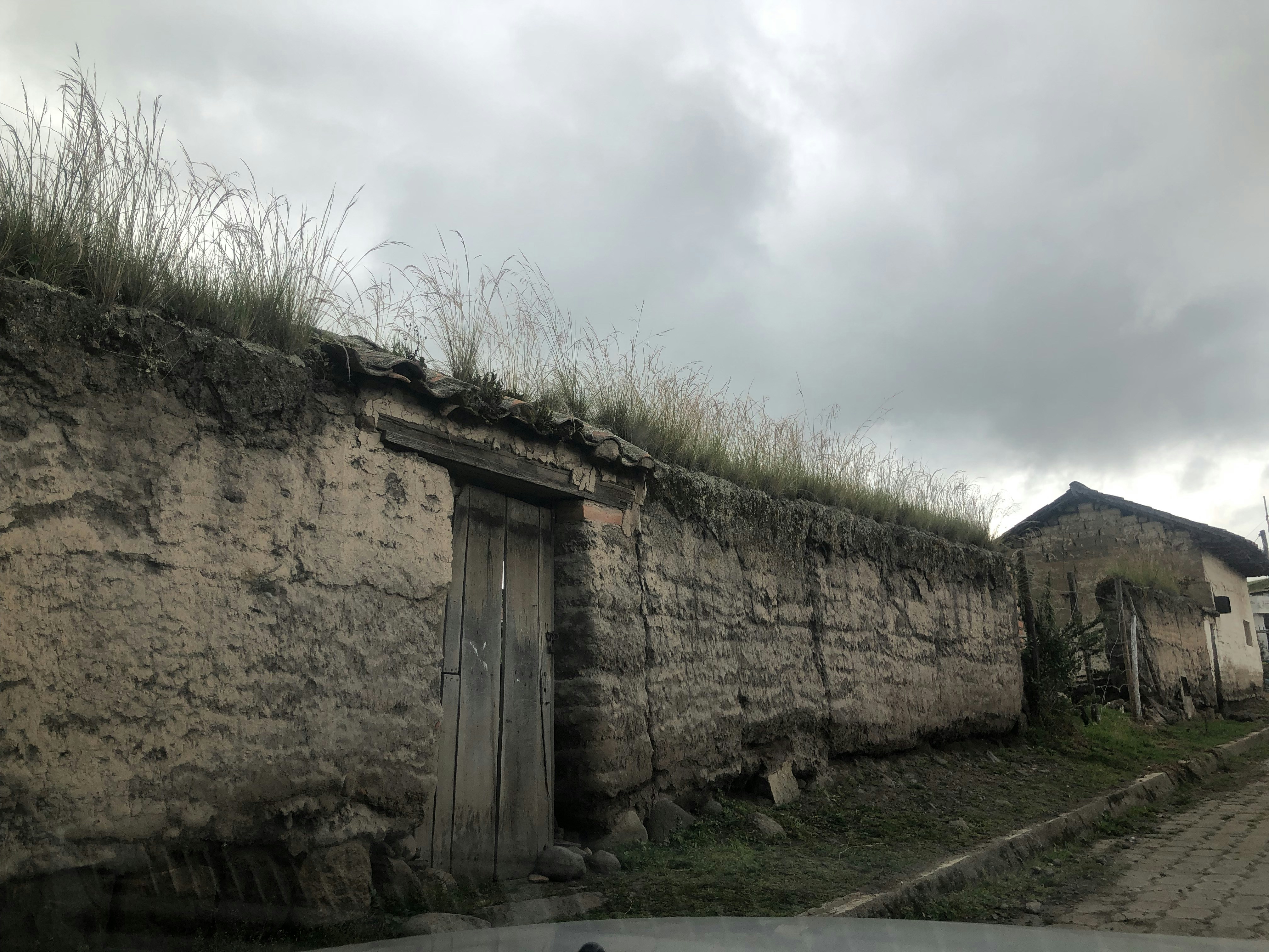 A rustic earthen wall adorned with grass, featuring a wooden door, set against a cloudy sky. The scene captures the essence of traditional architecture.