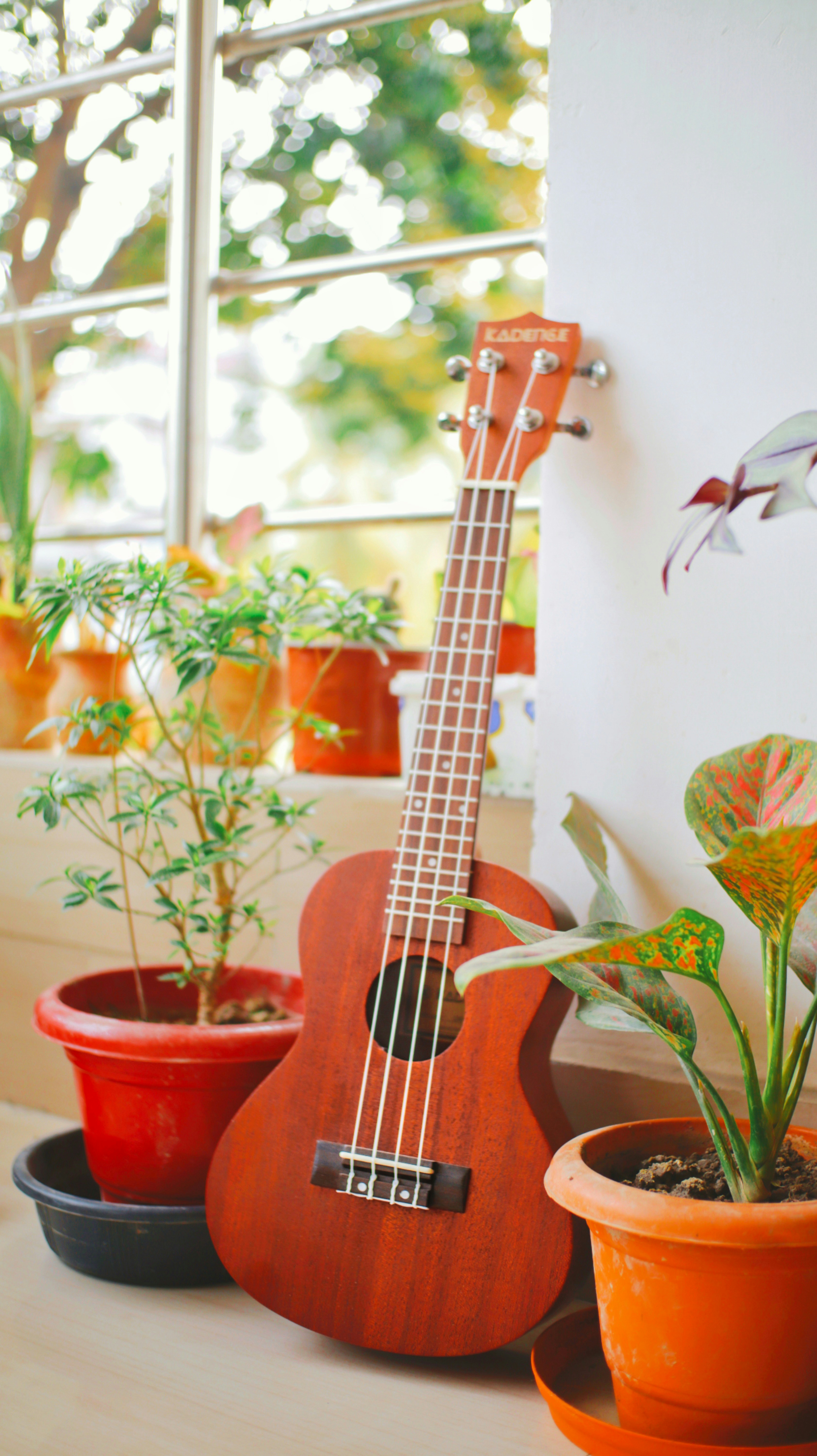 A wooden ukulele rests beside vibrant potted plants, illuminated by soft natural light from a nearby window.