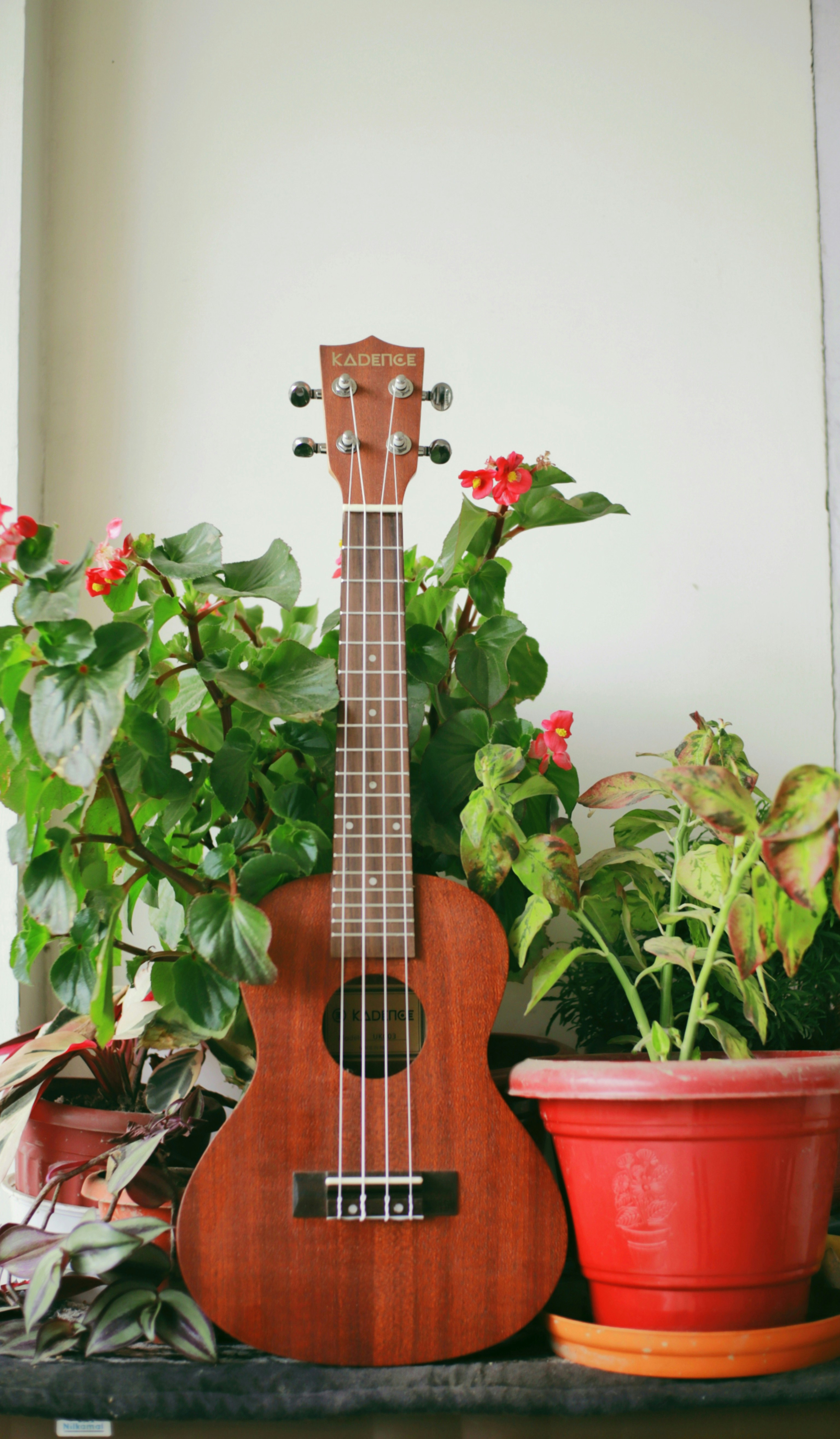 A wooden ukulele stands tall amidst vibrant potted plants, showcasing its craftsmanship and inviting musical creativity.