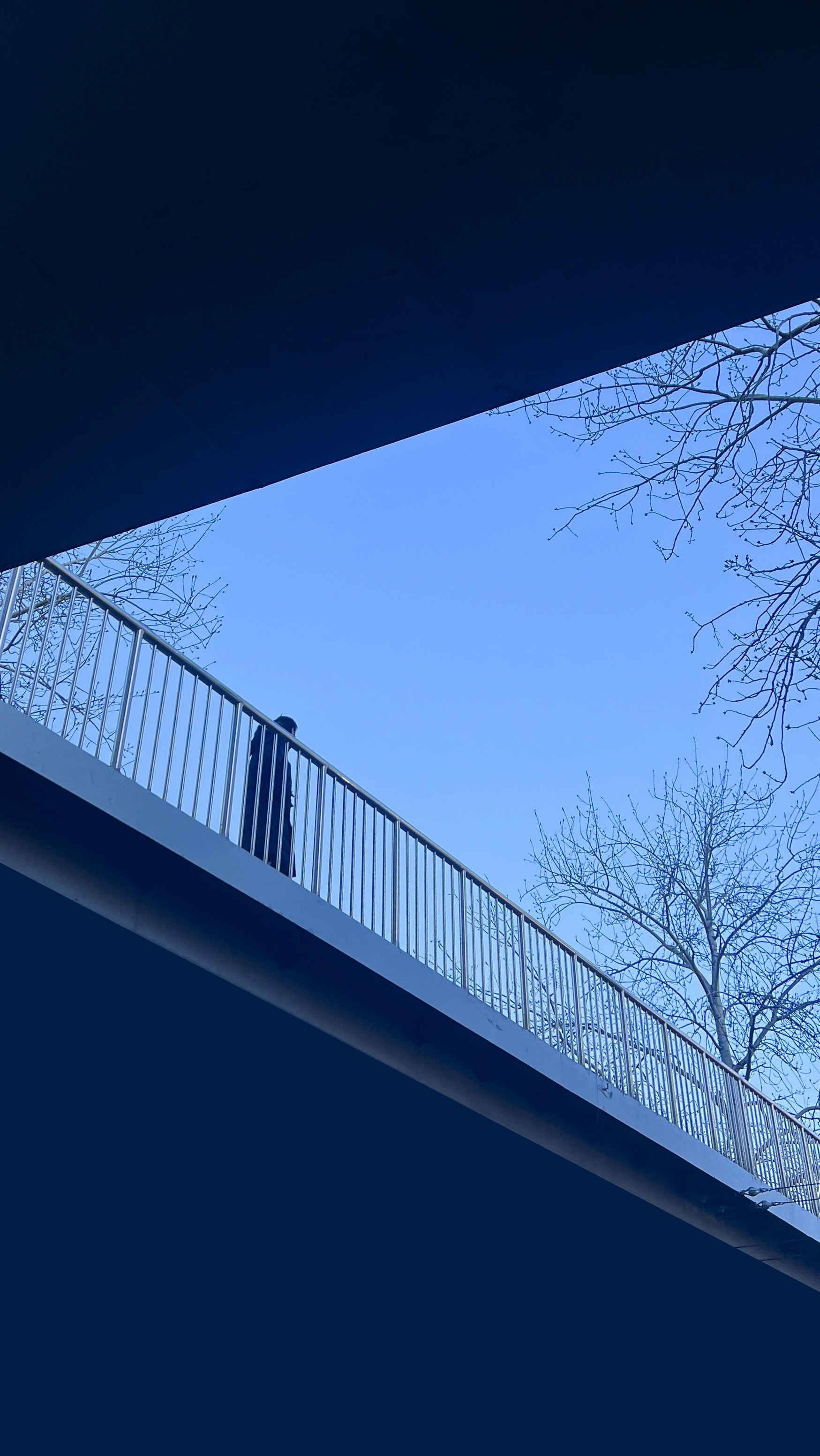 Cobalt Crossing: A Lone Figure on the Skyward Walkway
