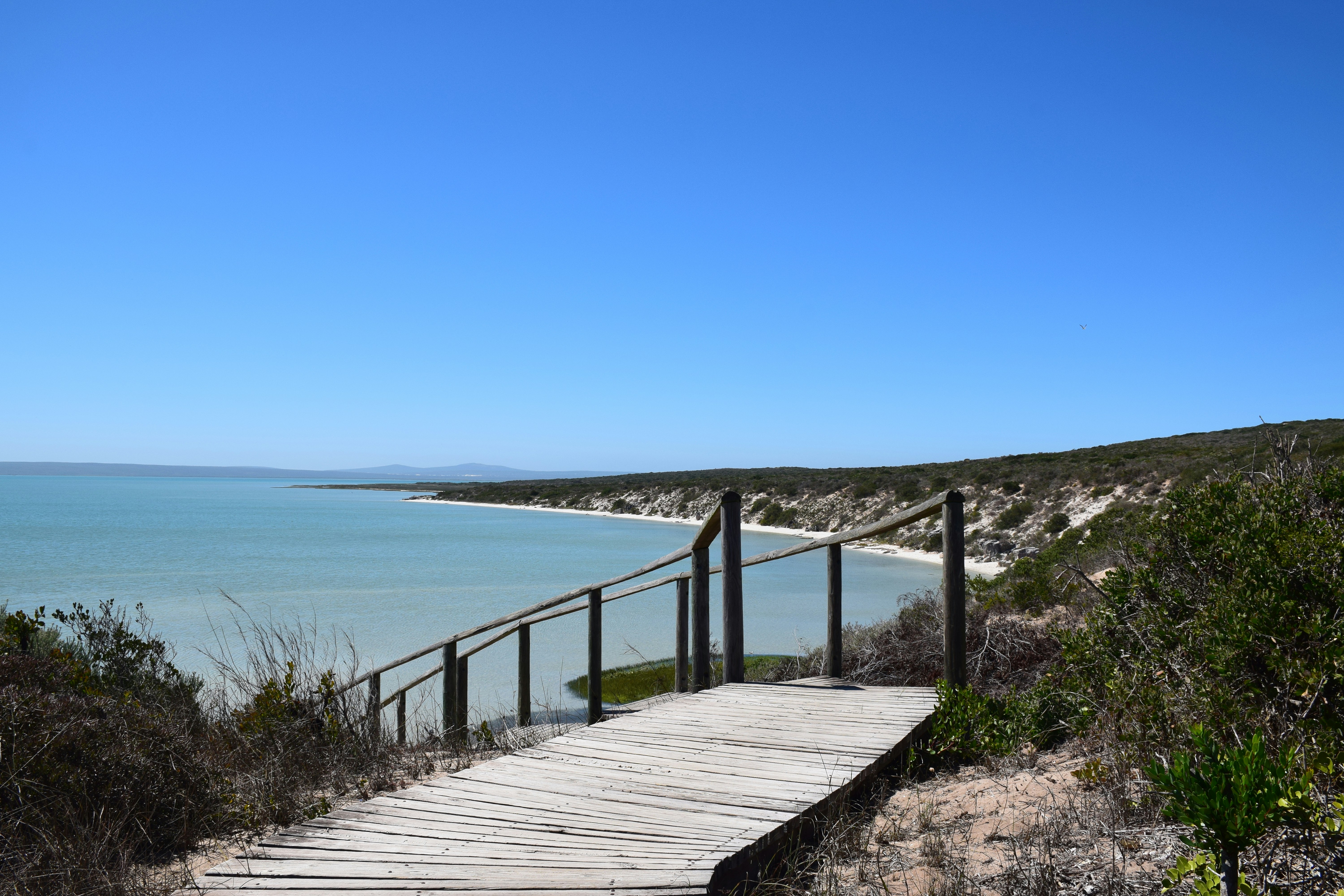 Boardwalk to the Cerulean Edge: A Coastal Path Toward the Horizon