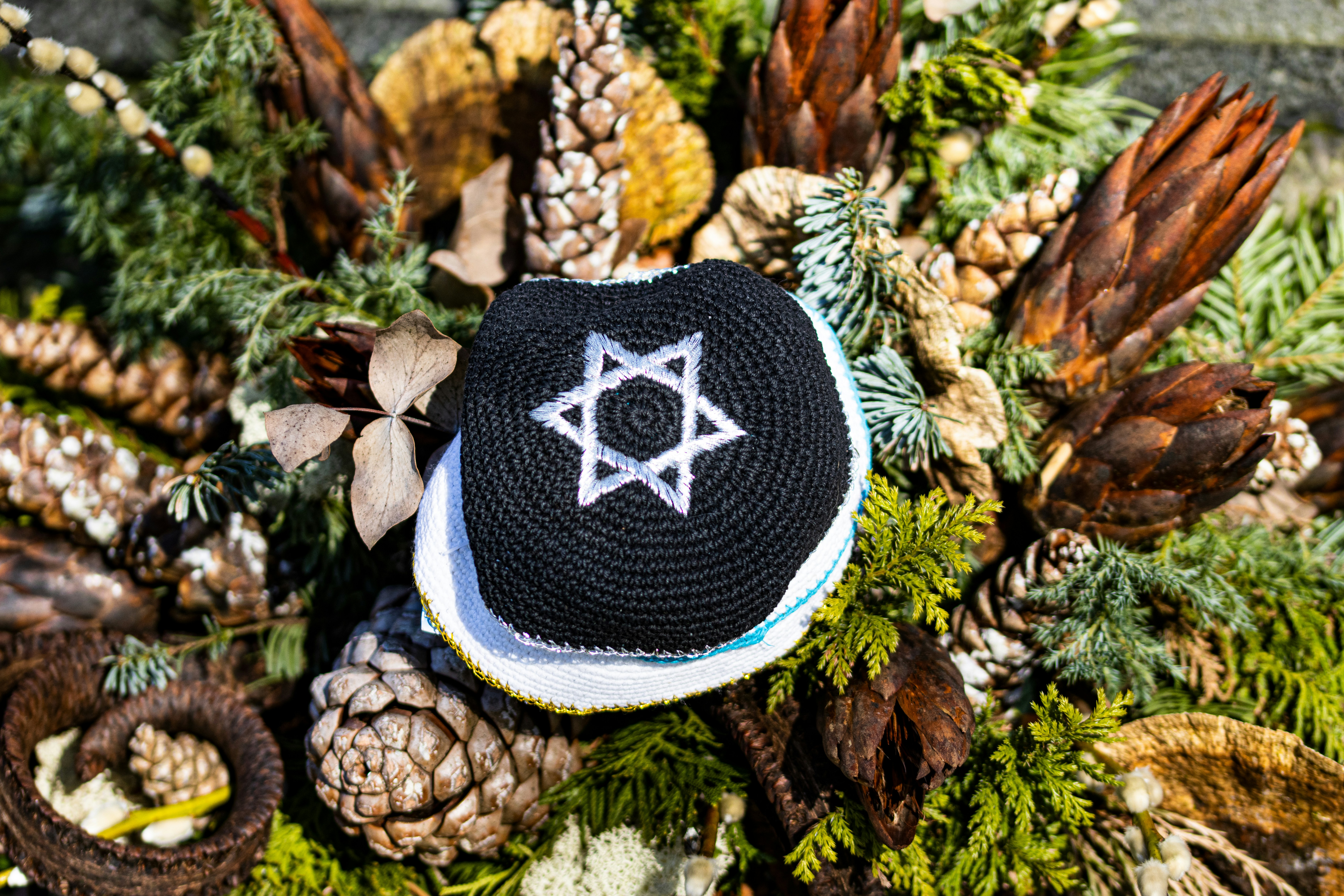 Hexed Comfort: A Knit Skullcap Nestled in Forest Pine Cones