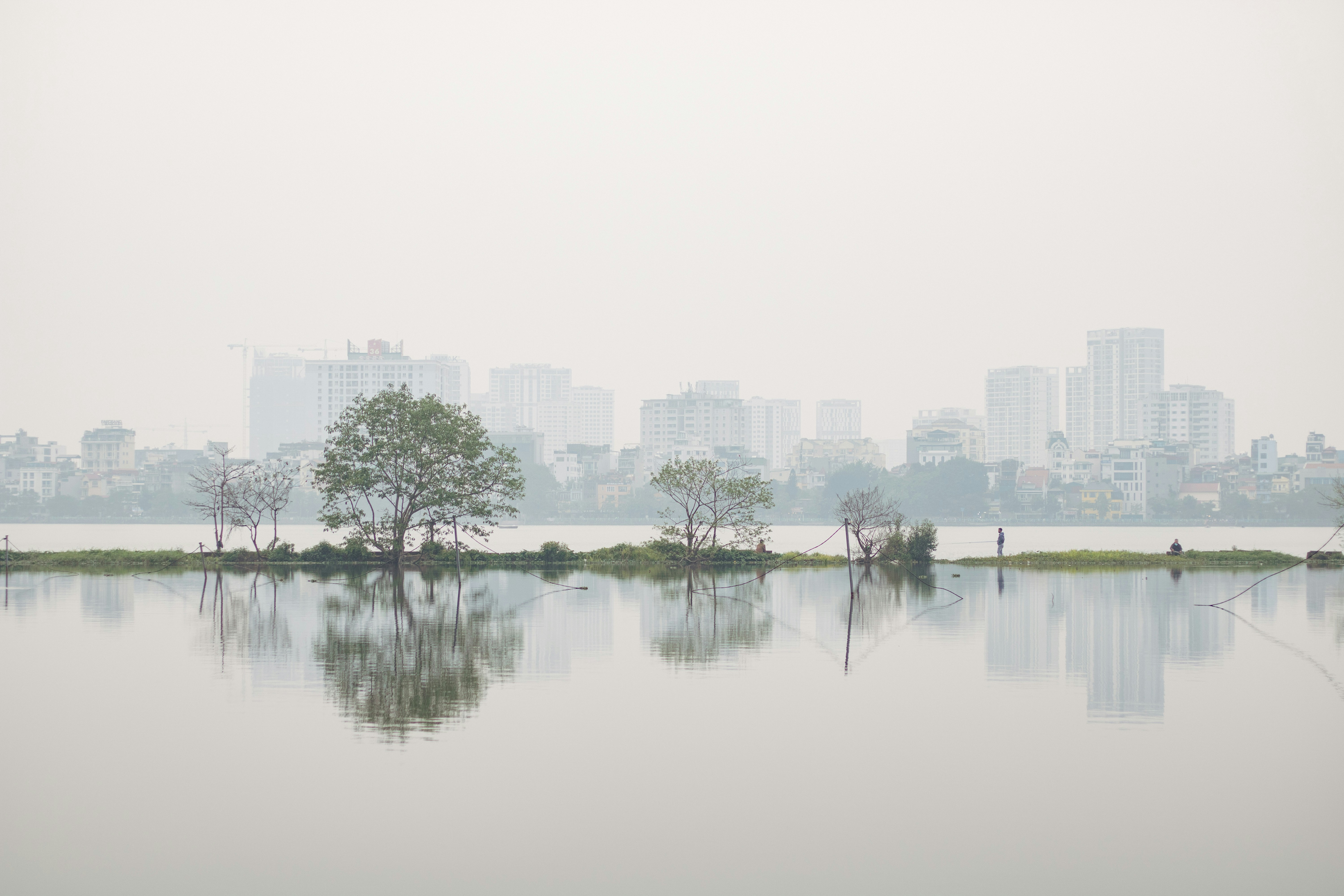A serene lakeside scene featuring silhouetted trees and distant city buildings shrouded in mist, reflecting on the water's surface.