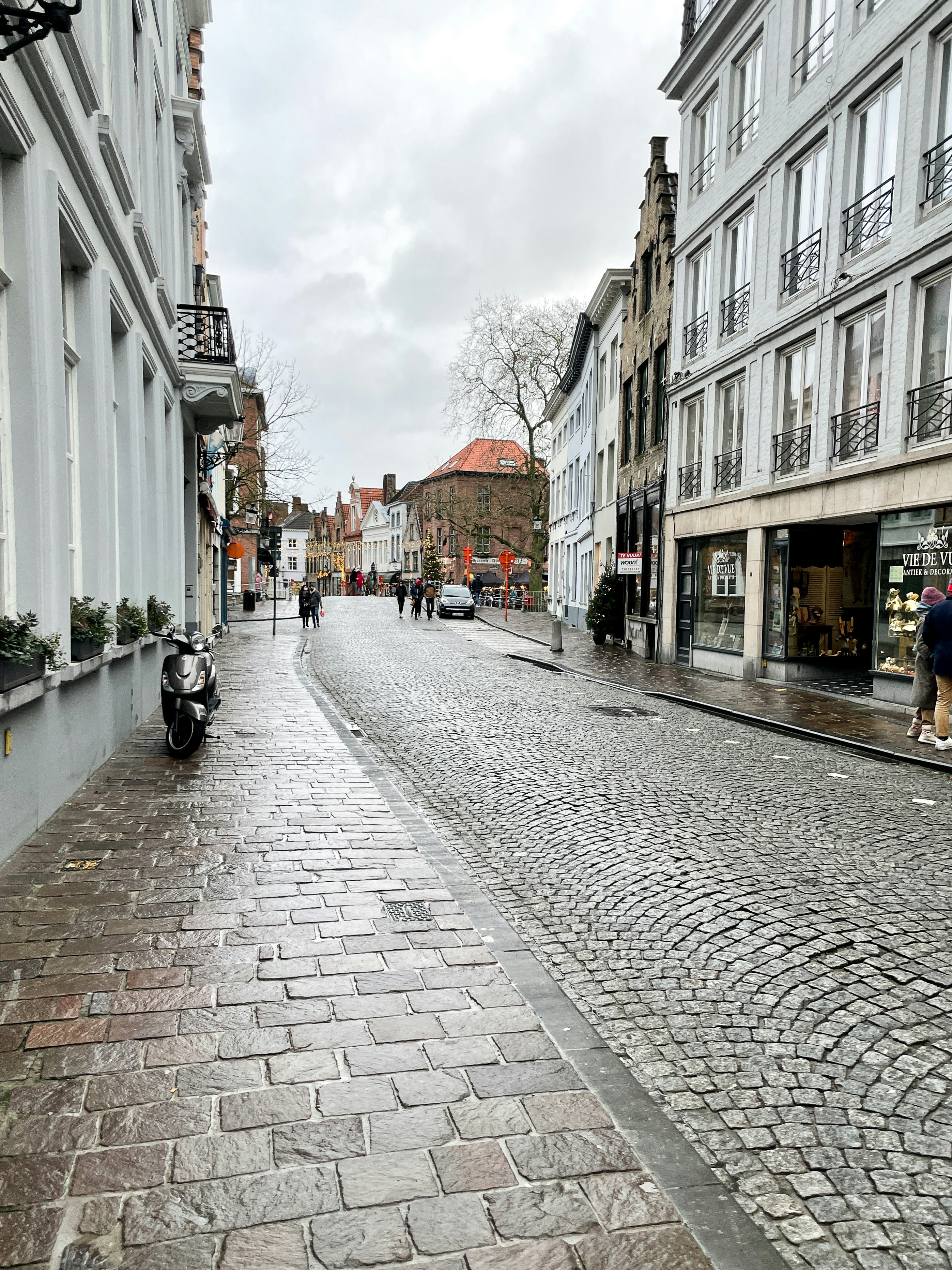 Charming cobblestone street lined with historic buildings and a few pedestrians, capturing the essence of urban life on a cloudy day.